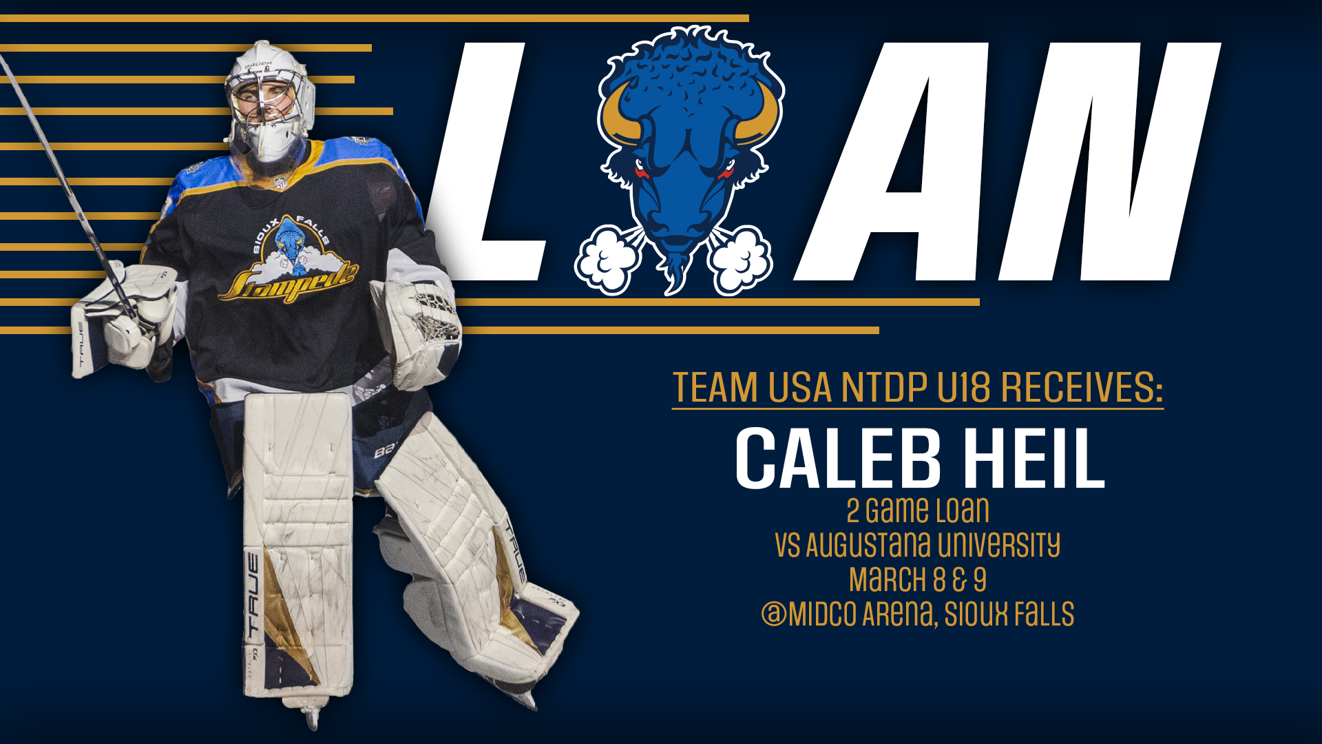 Heil on loan to Team USA NTDP U18 for Augustana Series - Sioux Falls ...