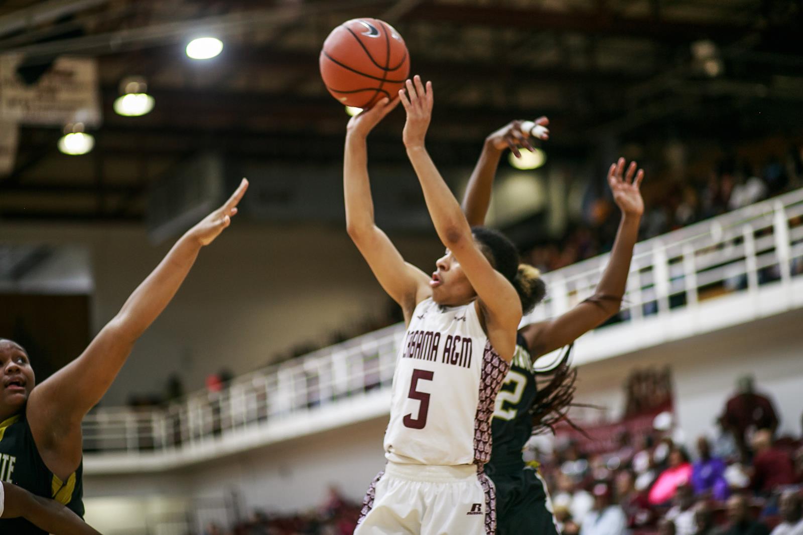 Hilary Williams - 2016-17 - Women's Basketball - Alabama A&M Athletics