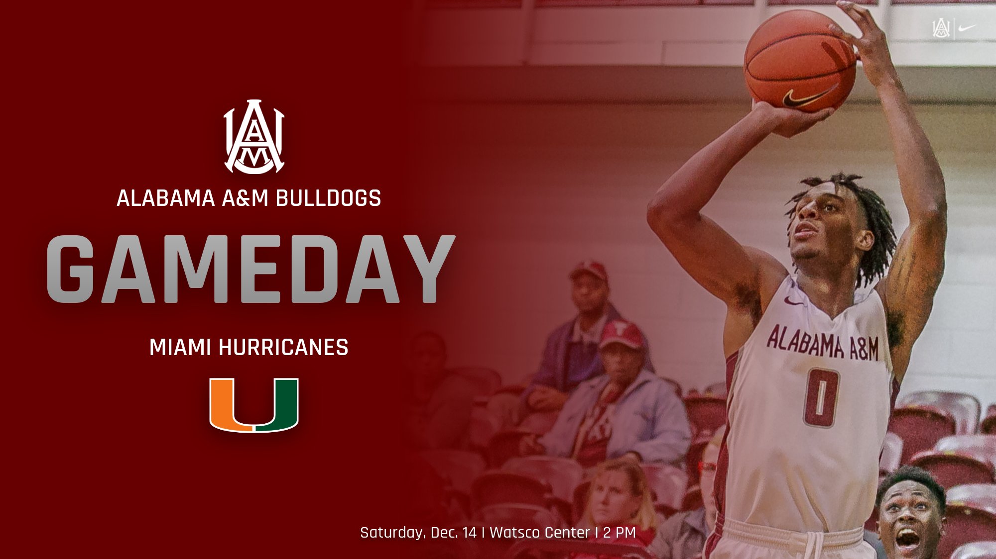 TJ Parham - 2019-20 - Men's Basketball - Alabama A&M Athletics