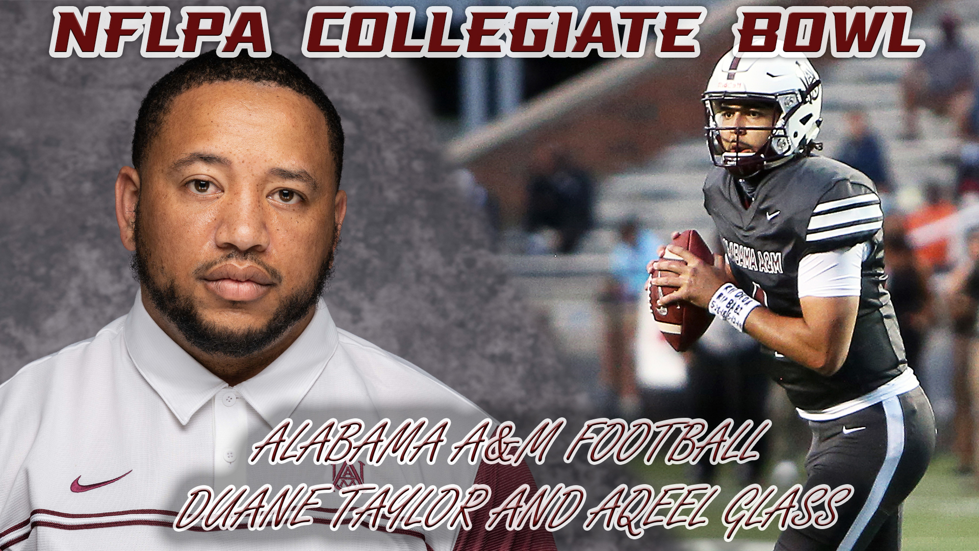 Sean Taylor Wallpaper Rip