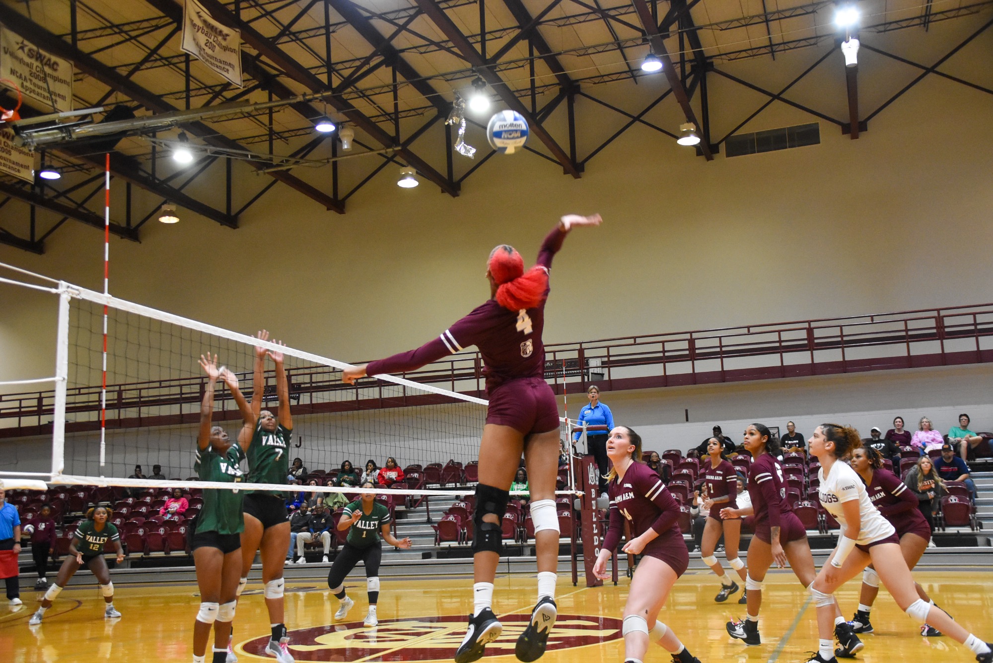Alabama A&M Celebrates Senior Day with Sweep of MVSU - Alabama A&M ...