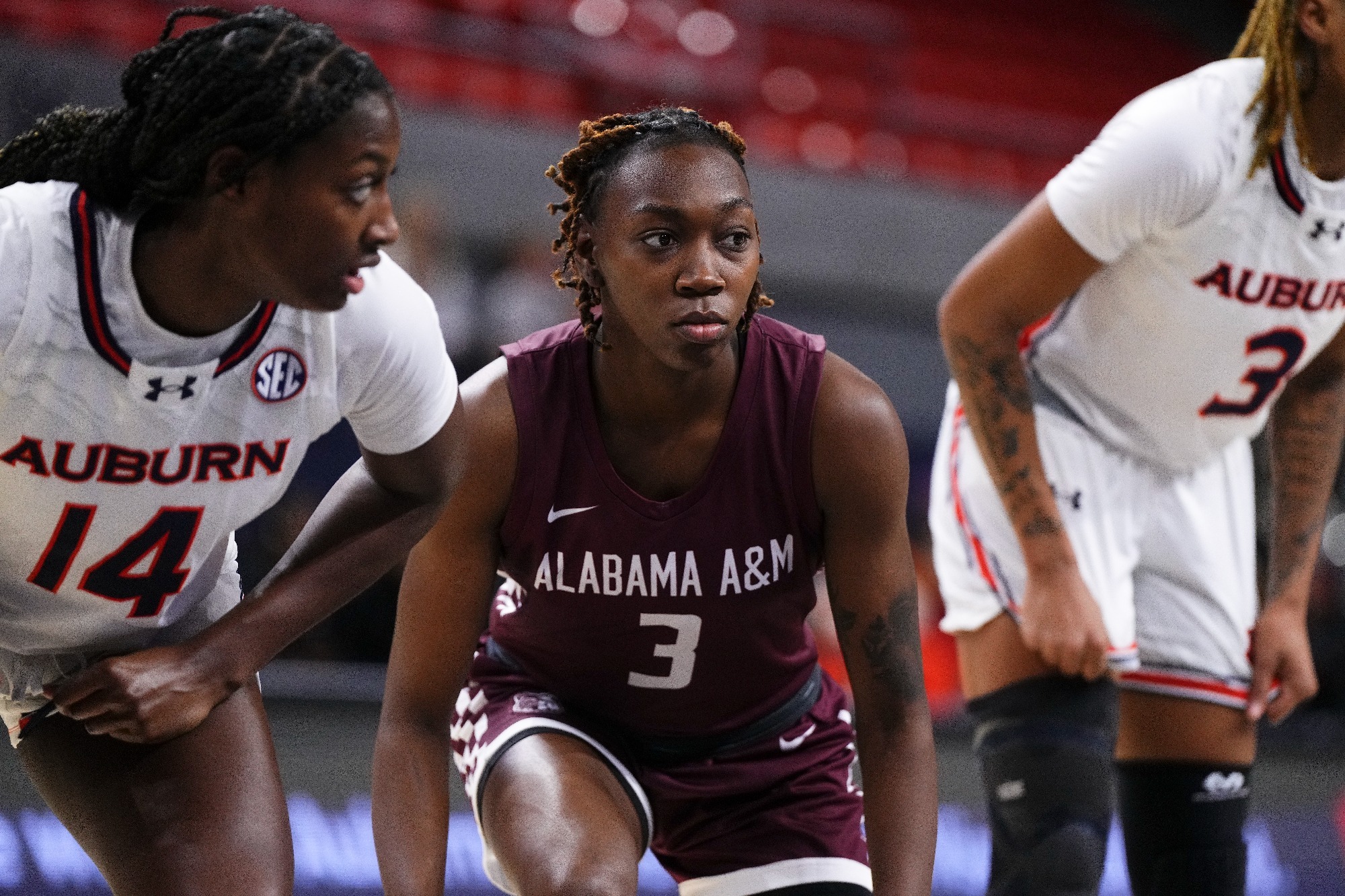 Alisha Wilson - 2024-25 - Women's Basketball - Alabama A&M Athletics