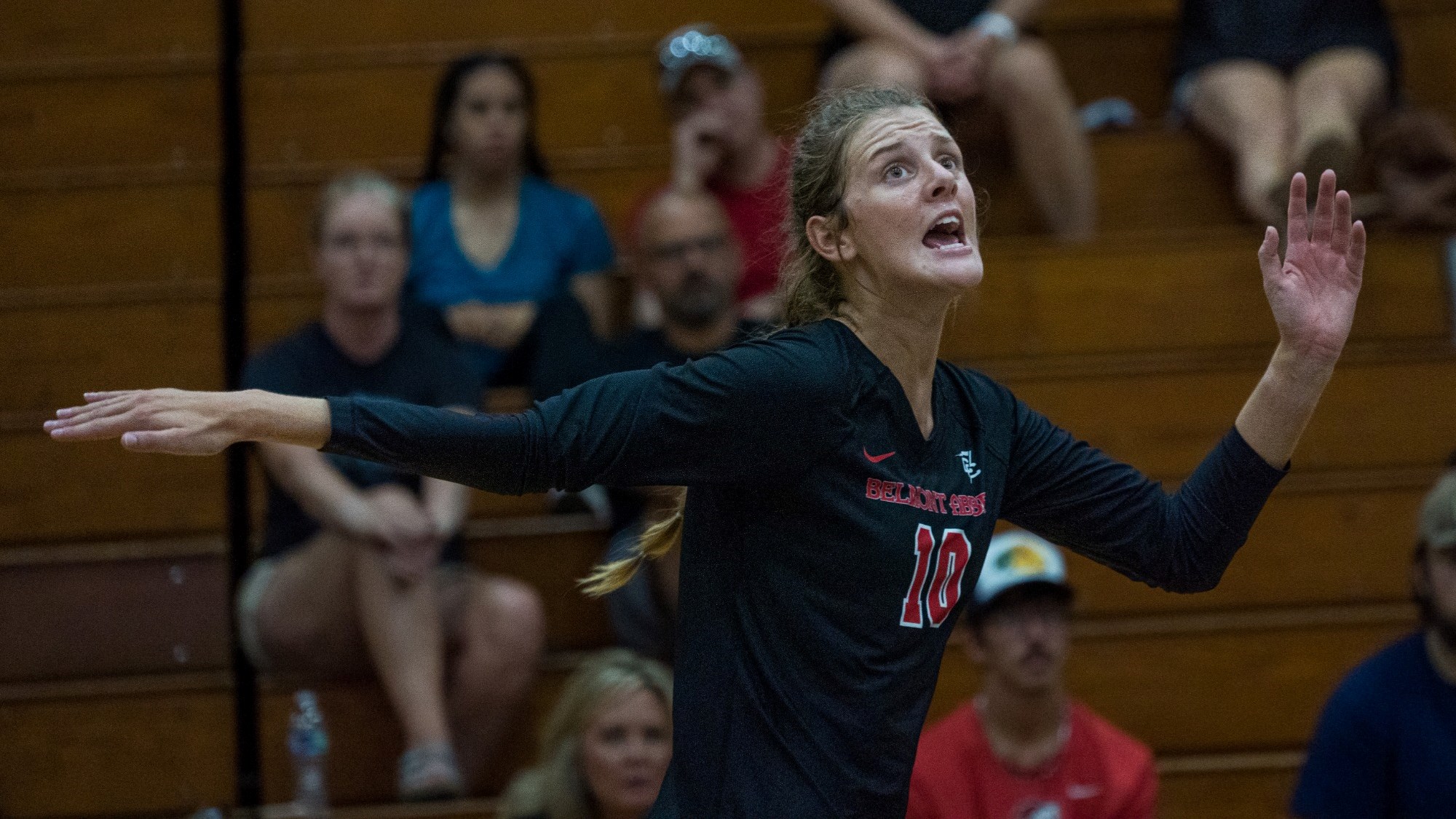 Baylea Botello - 2022 - Women's Volleyball - Belmont Abbey College