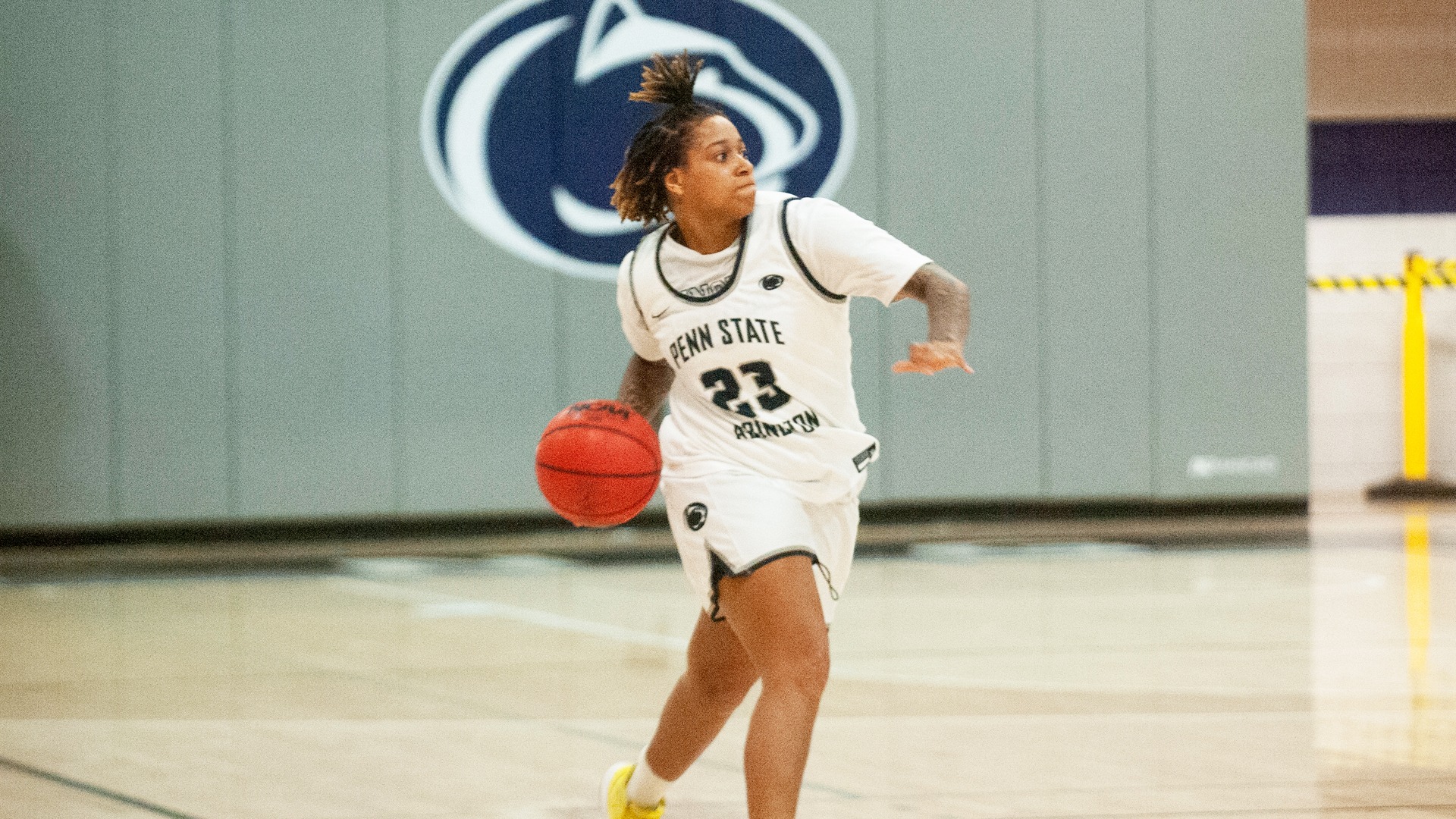 Immaculata Pulls Away from Abington in Non-Conference Tilt - Penn State ...
