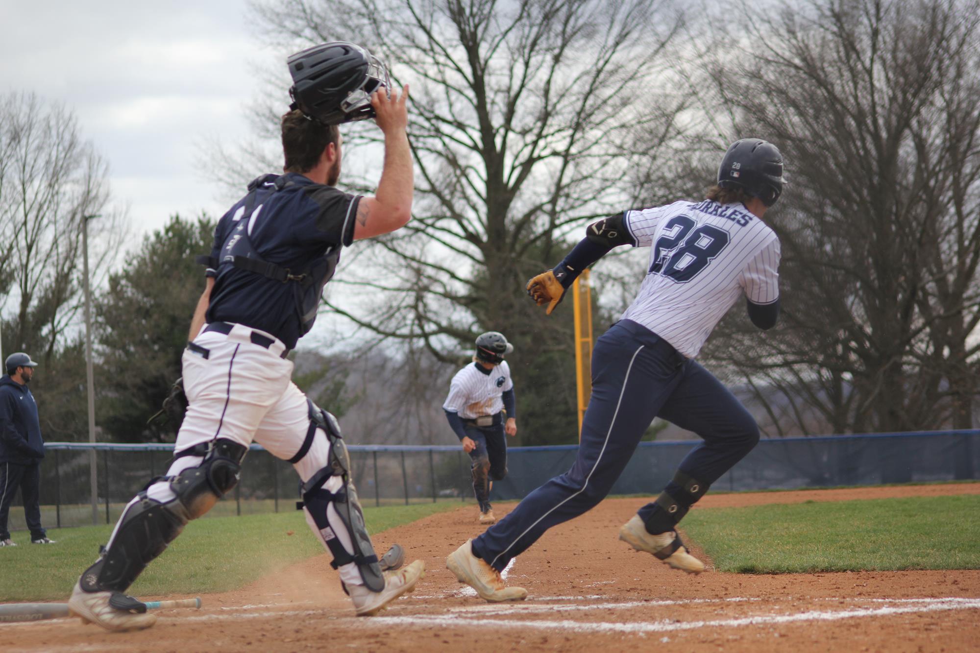 Abington Baseball Takes Series Opener At St. Mary's - Penn State ...
