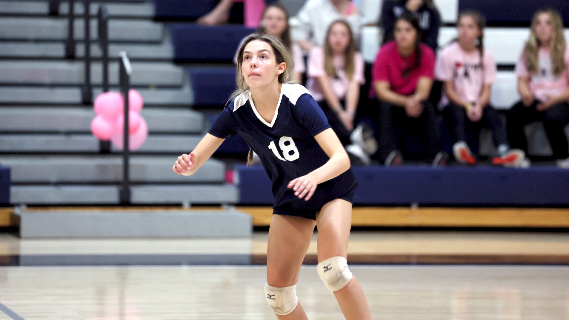 Laine Kulpinski - 2023 - Women's Volleyball - Penn State Abington ...