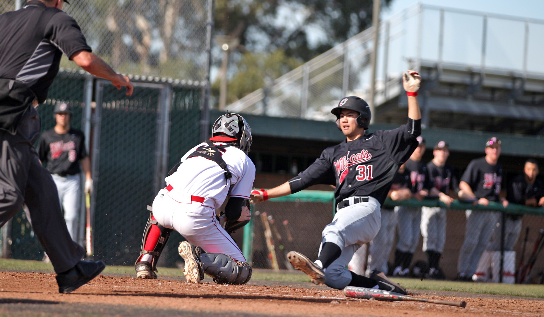Zak May - Baseball - Academy of Art University Athletics