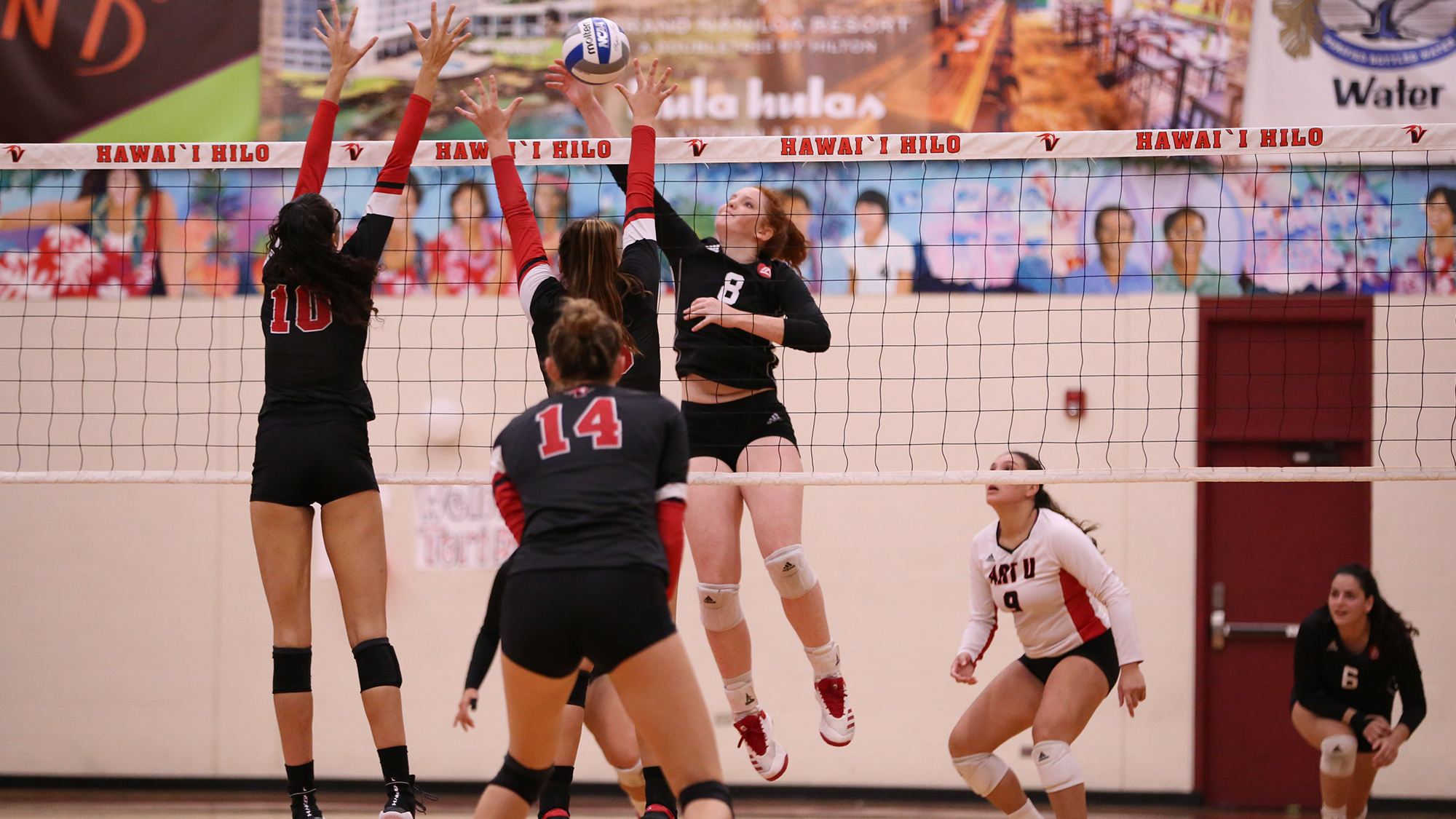 Carly Evetts - Women's Volleyball - Academy of Art University Athletics