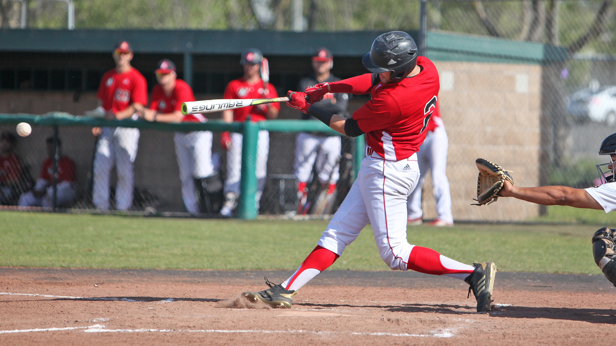 Thomas Delgadillo - Baseball - Academy of Art University Athletics