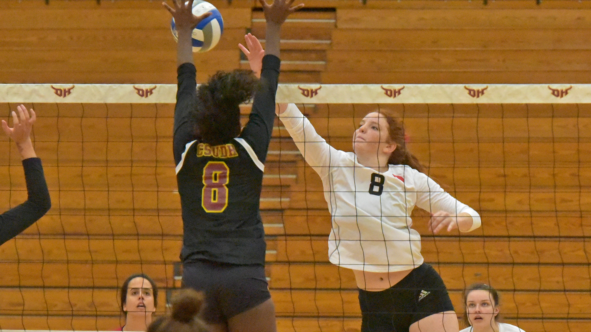 Carly Evetts - Women's Volleyball - Academy of Art University Athletics