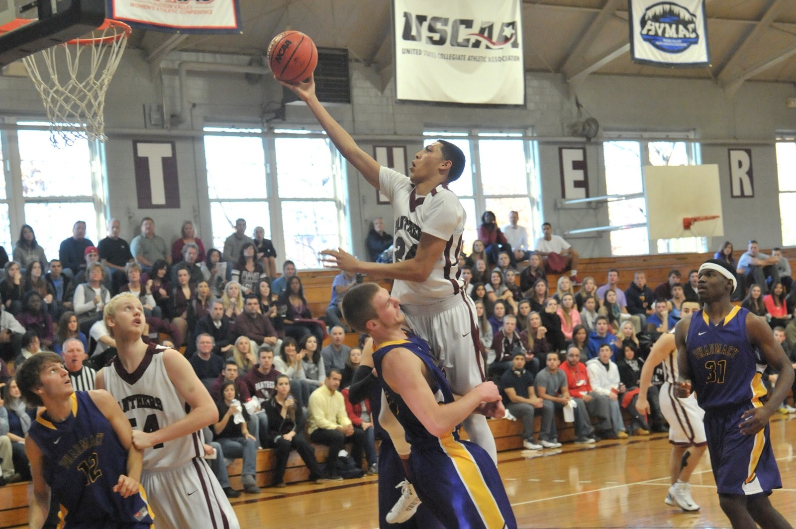 Ryan McVaigh - Men's Basketball - ACPHS Athletics