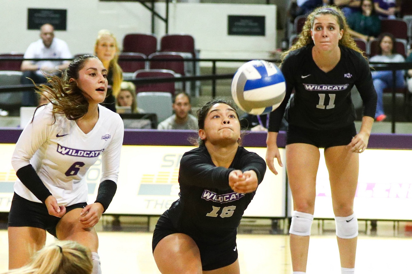 Amanda Chapa - Women's Volleyball - Abilene Christian University Athletics