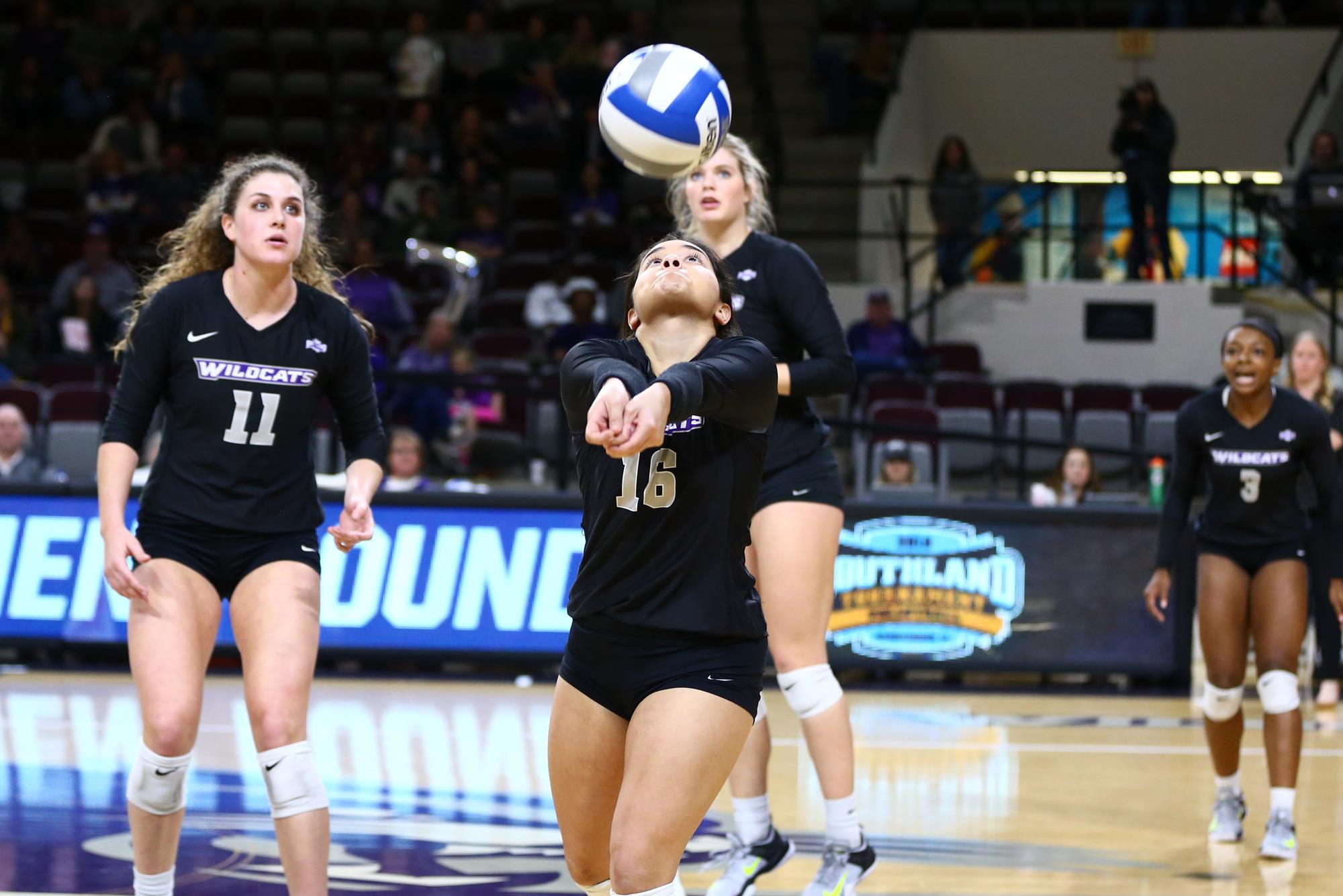 Amanda Chapa - Women's Volleyball - Abilene Christian University Athletics