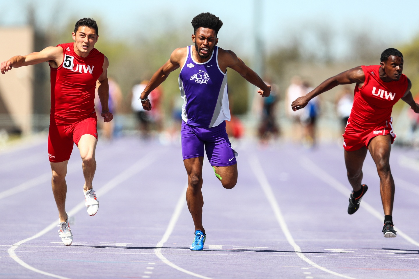 Ryan Linton - Track & Field - Abilene Christian University Athletics