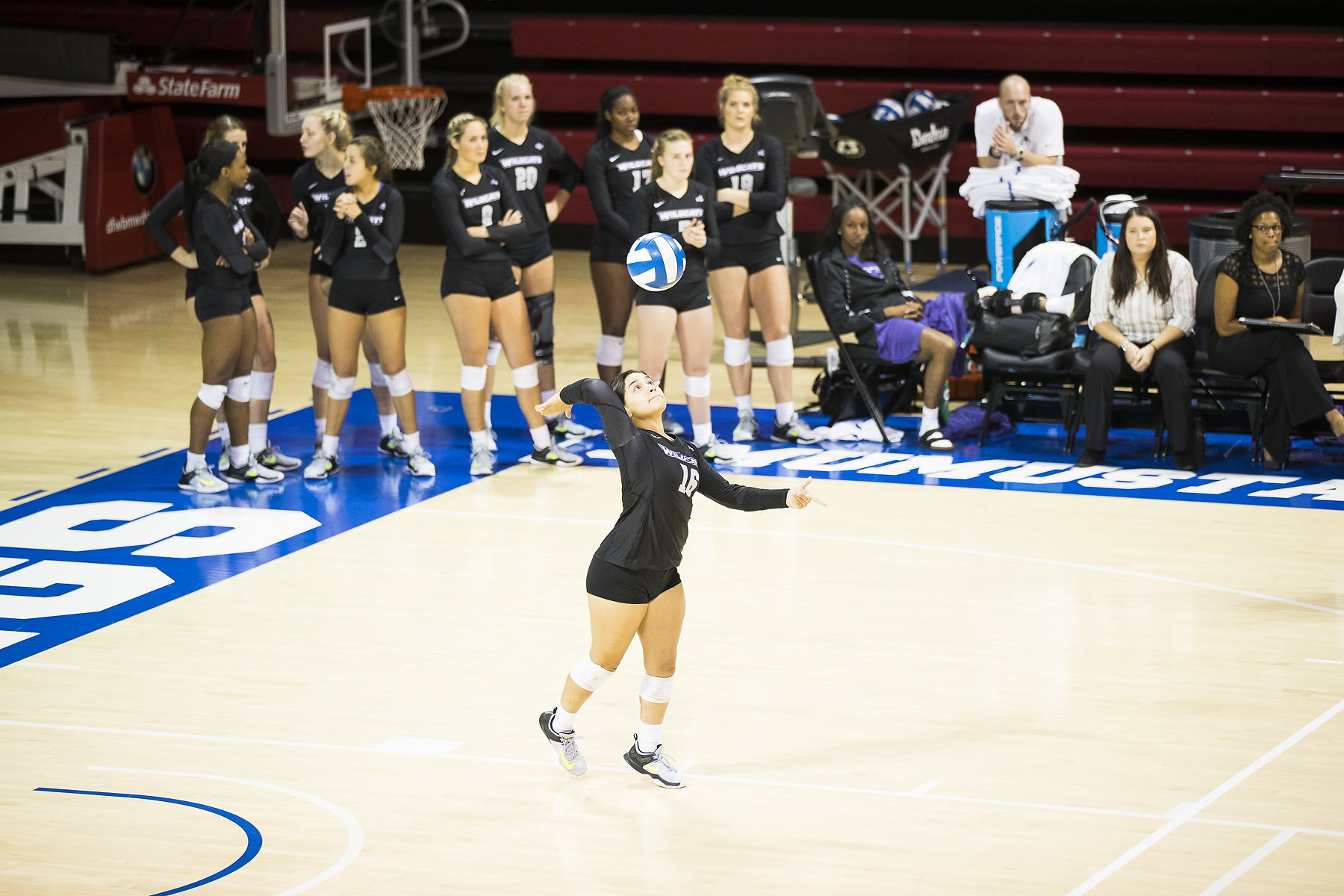 Amanda Chapa - Women's Volleyball - Abilene Christian University Athletics