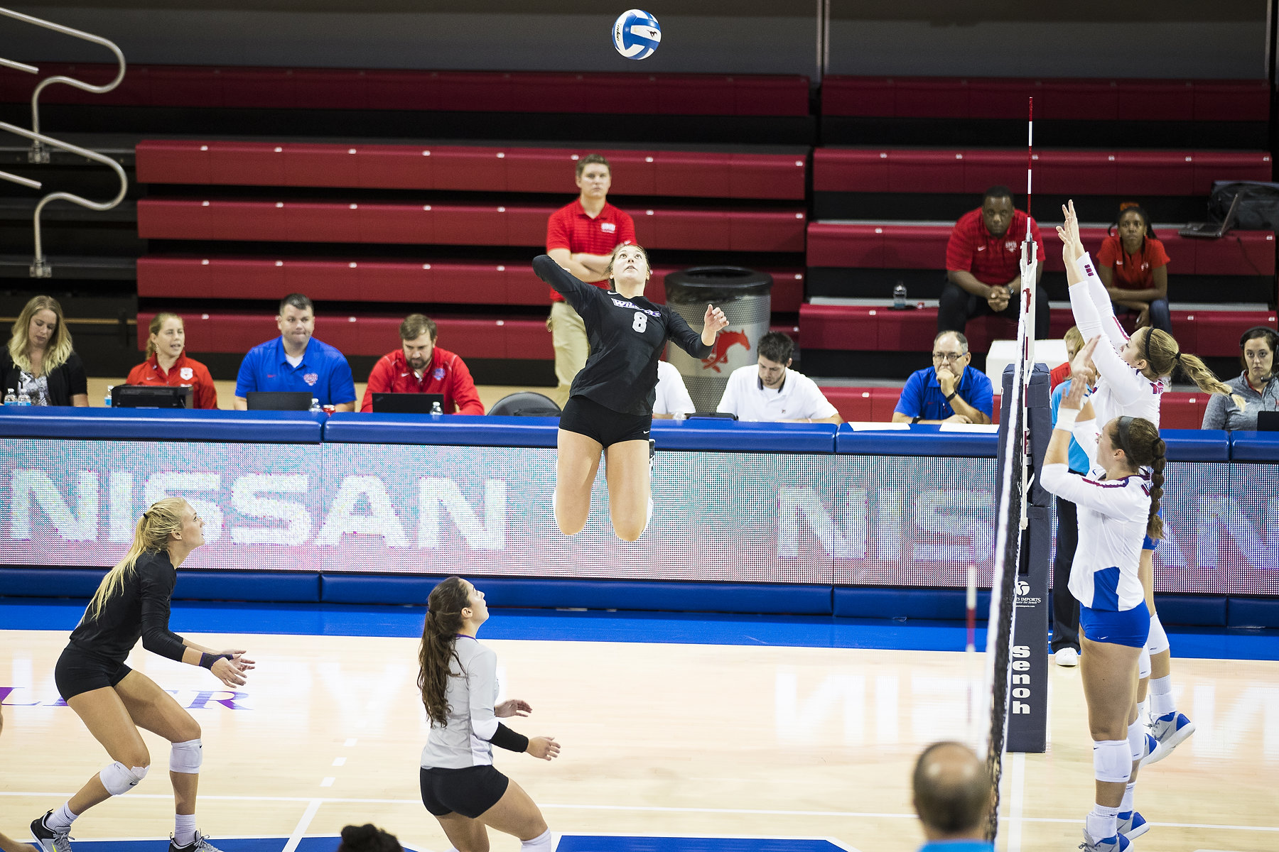 Jacey Smith - Women's Volleyball - Abilene Christian University Athletics