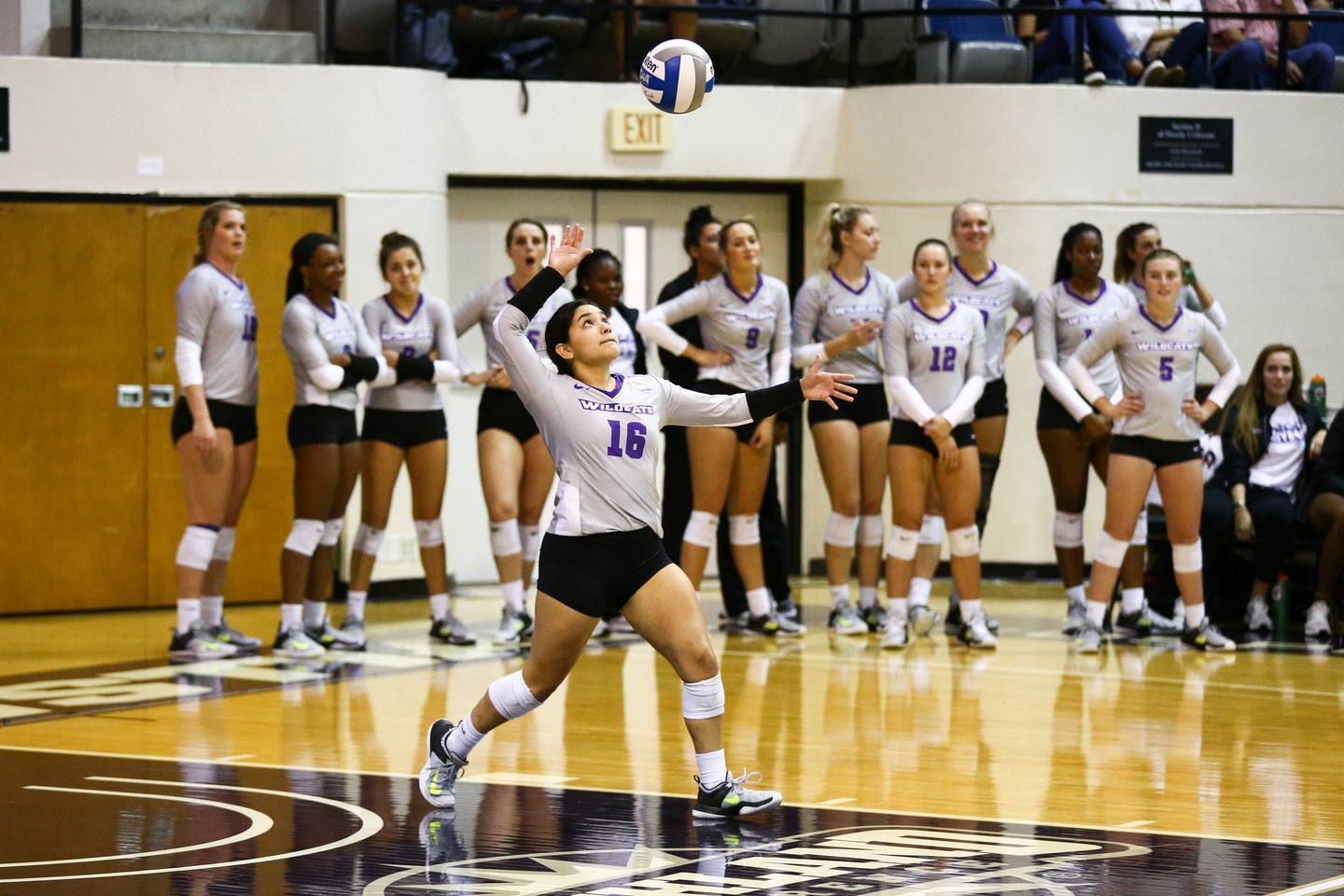 Amanda Chapa - Women's Volleyball - Abilene Christian University Athletics