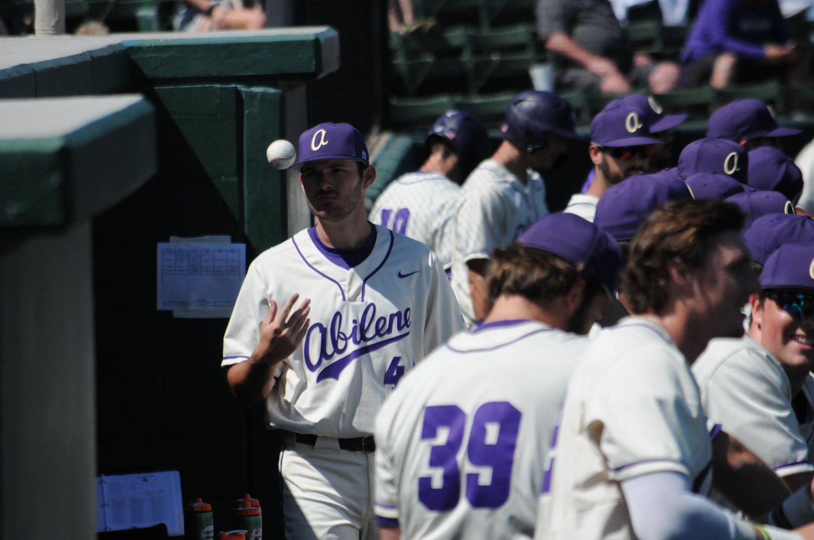 Eric Wimpee - Baseball - Abilene Christian University Athletics