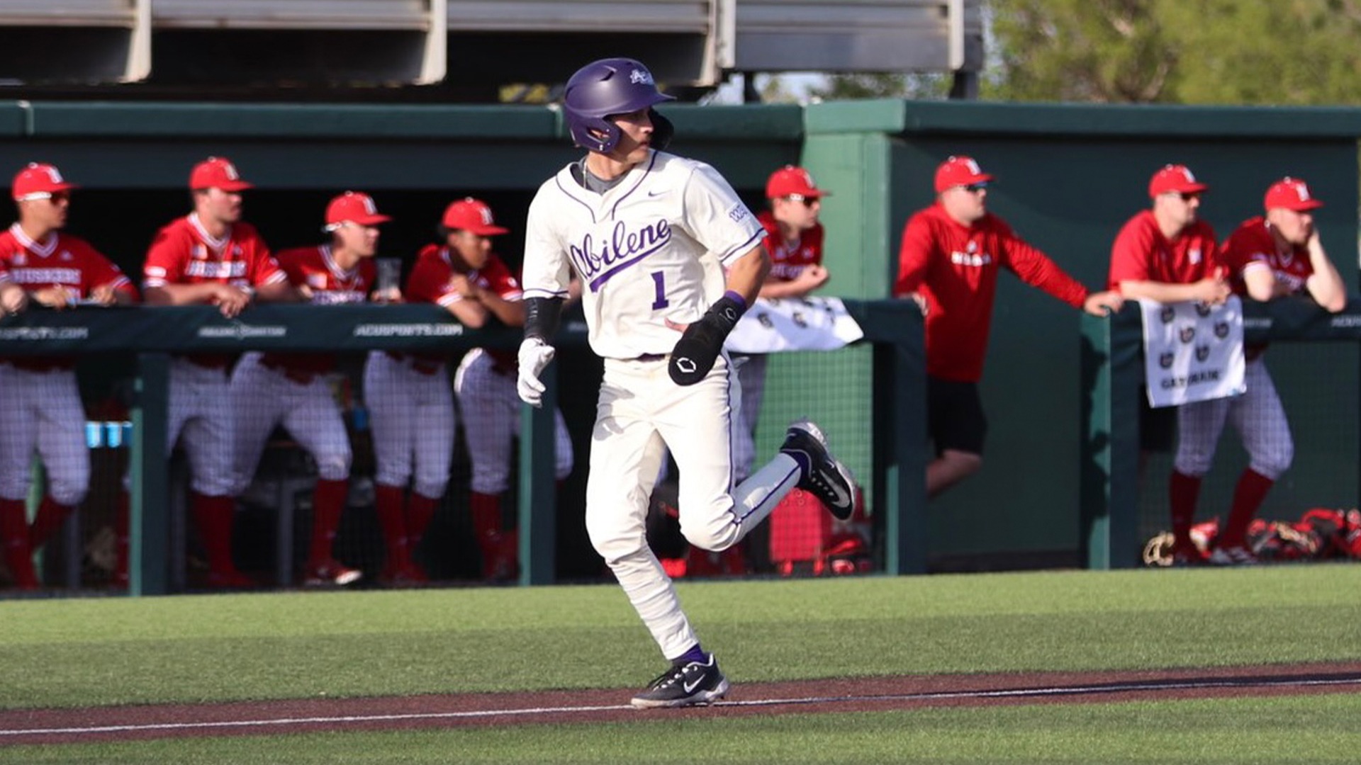 Bash Randle - Baseball - Abilene Christian University Athletics