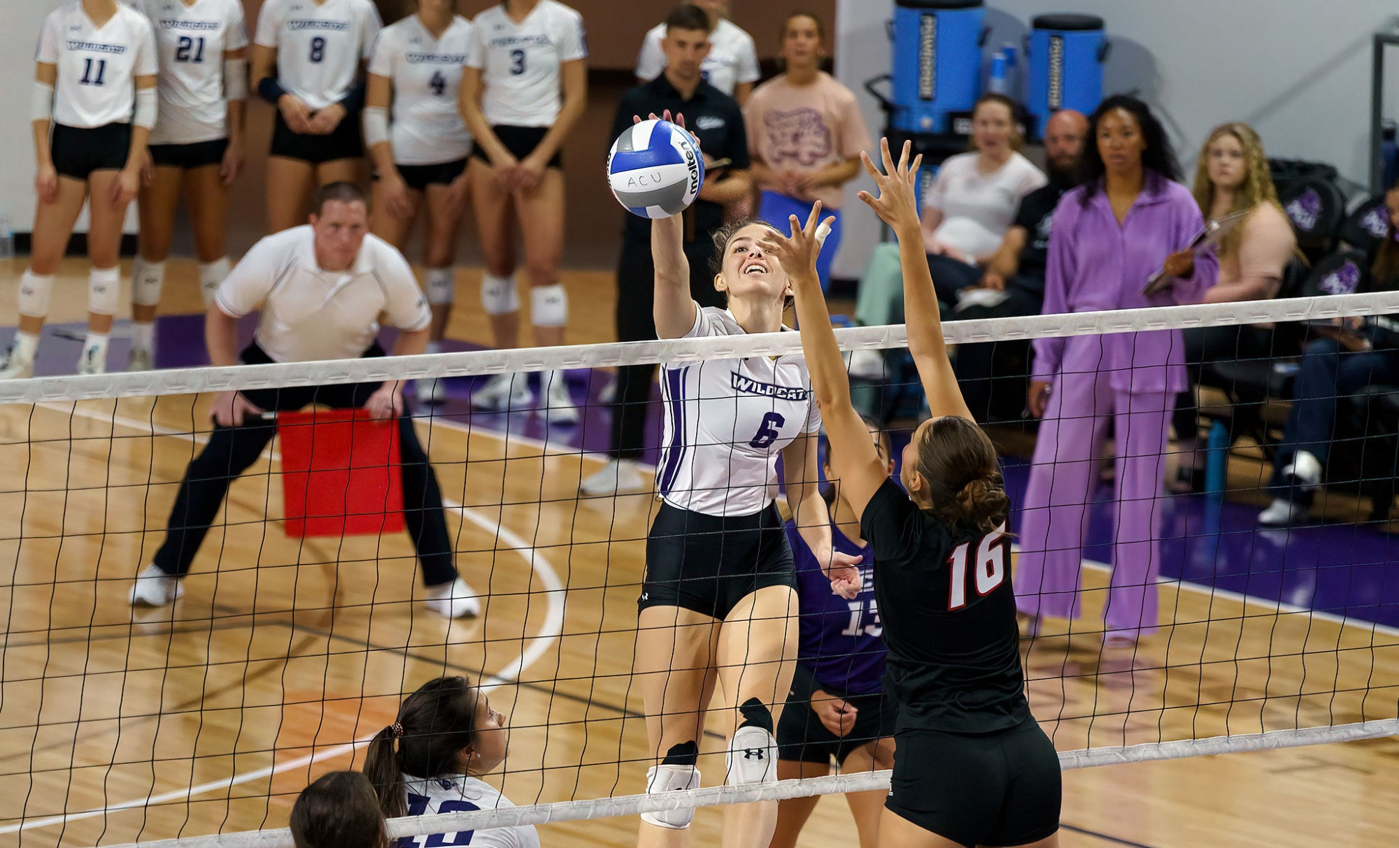 Breanna Box - Women's Volleyball - Abilene Christian University Athletics