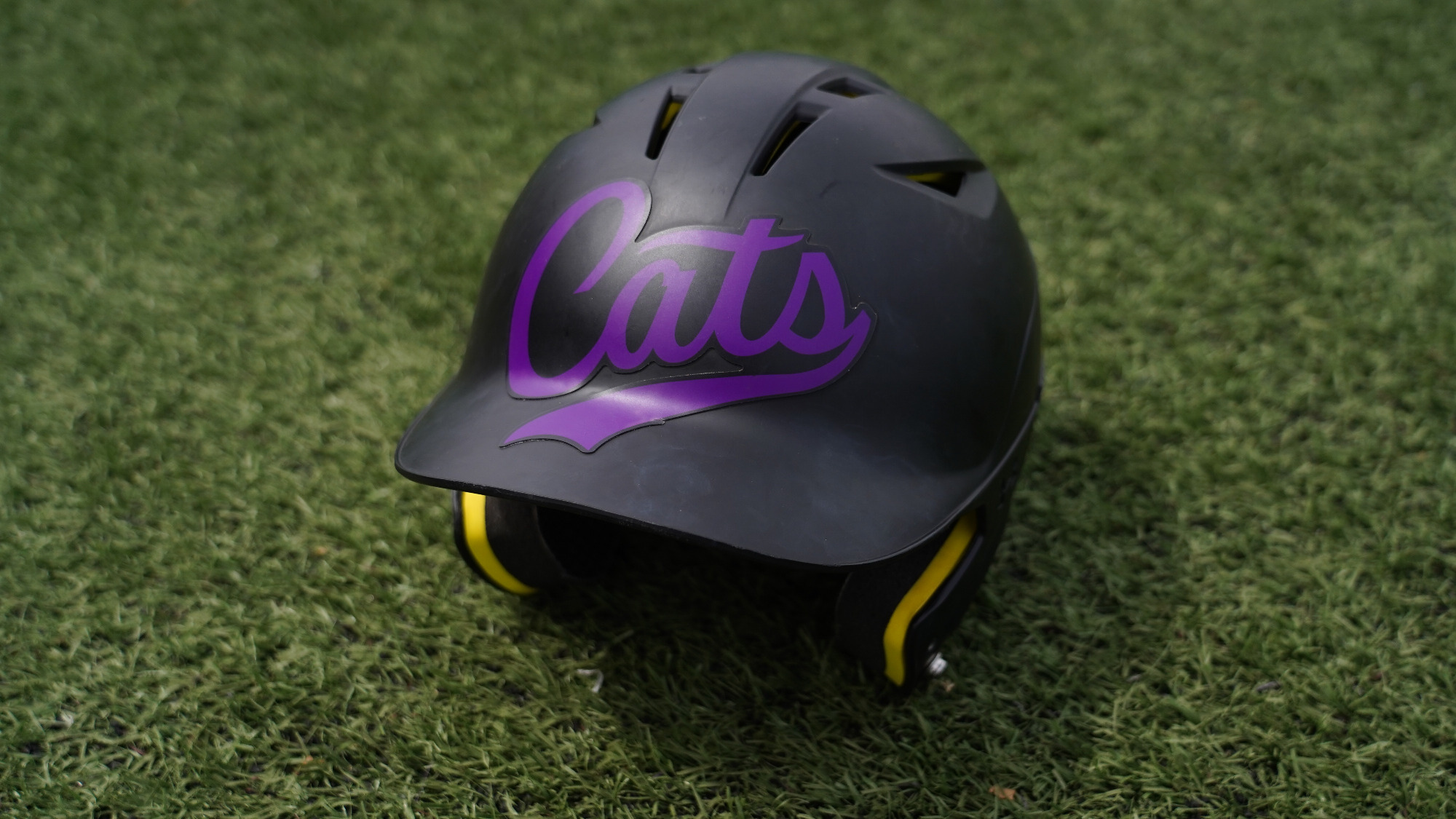 ACU Softball Excited for "Opportunity to Play the Best" in 2025 ...