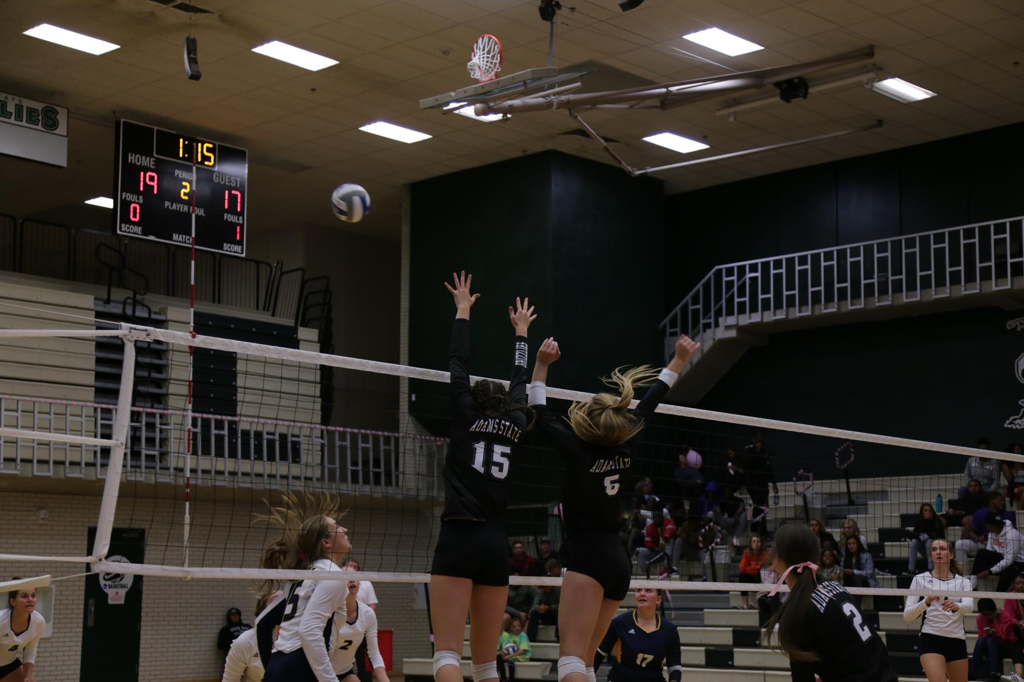 Shannon Mulkey - Women's Volleyball - Adams State University Athletics