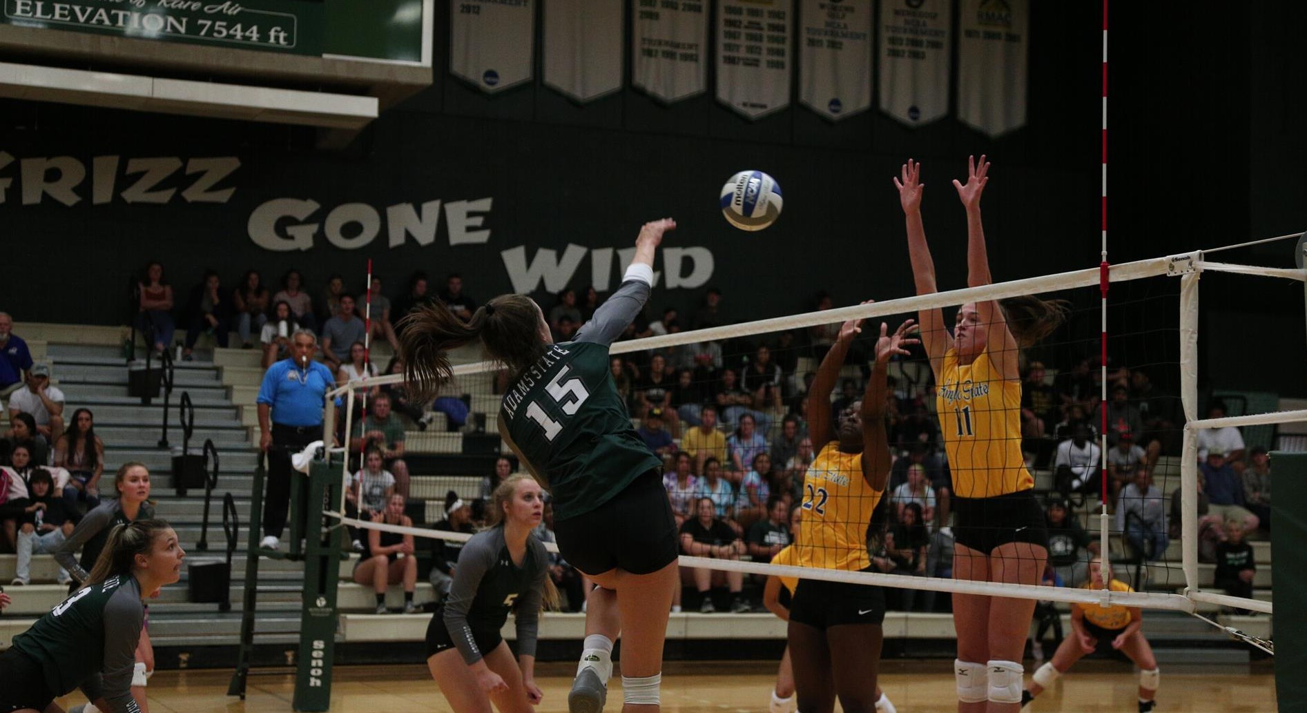 Alexandra MacAskill - Women's Volleyball - Adams State University Athletics