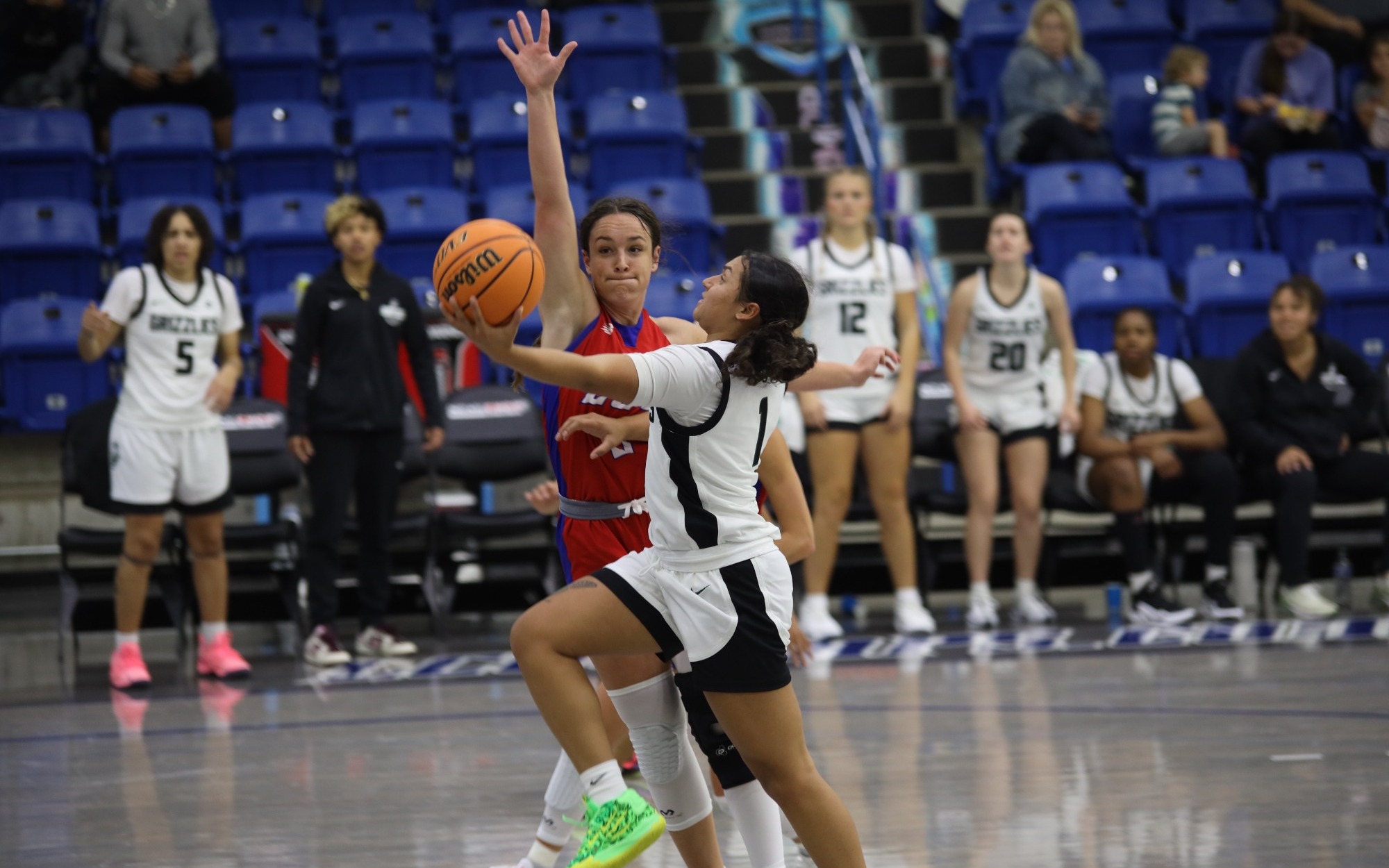 WBB |Grizzlies battle fall at Lubbock Christian - Adams State ...