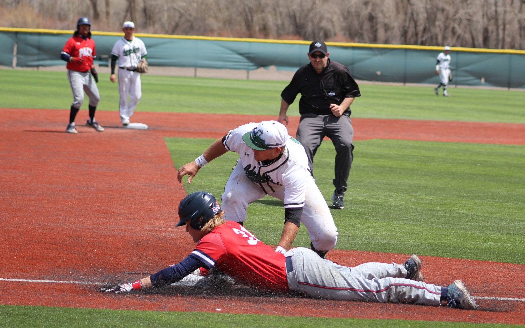 BASE | Grizzlies drop finale to ThunderWolves - Adams State University ...