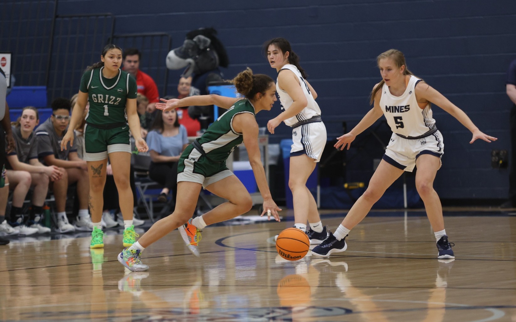 WBB | Grizzlies clinch home playoff game with win over Mines - Adams ...