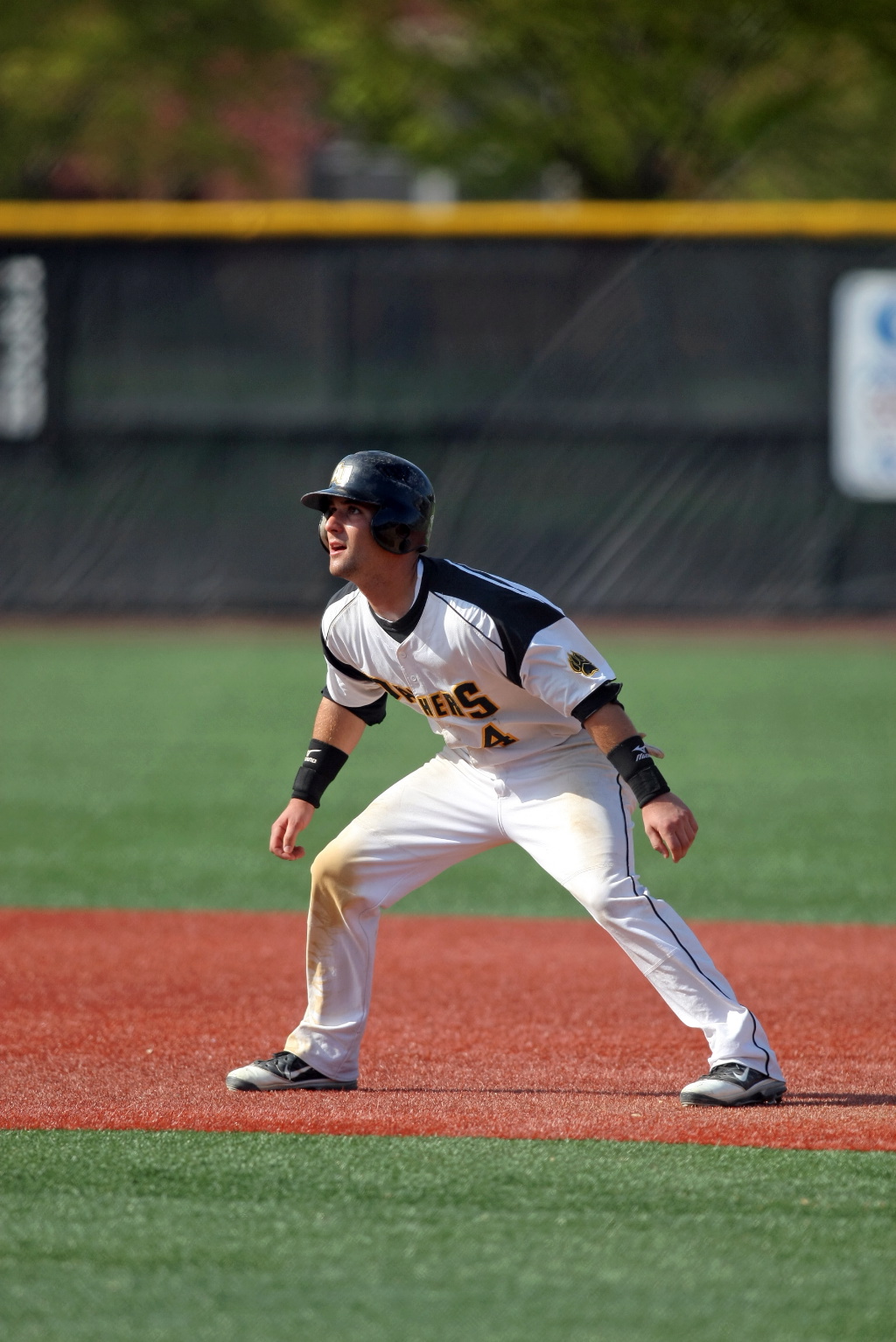 Craig Matteo - Baseball - Adelphi University Athletics