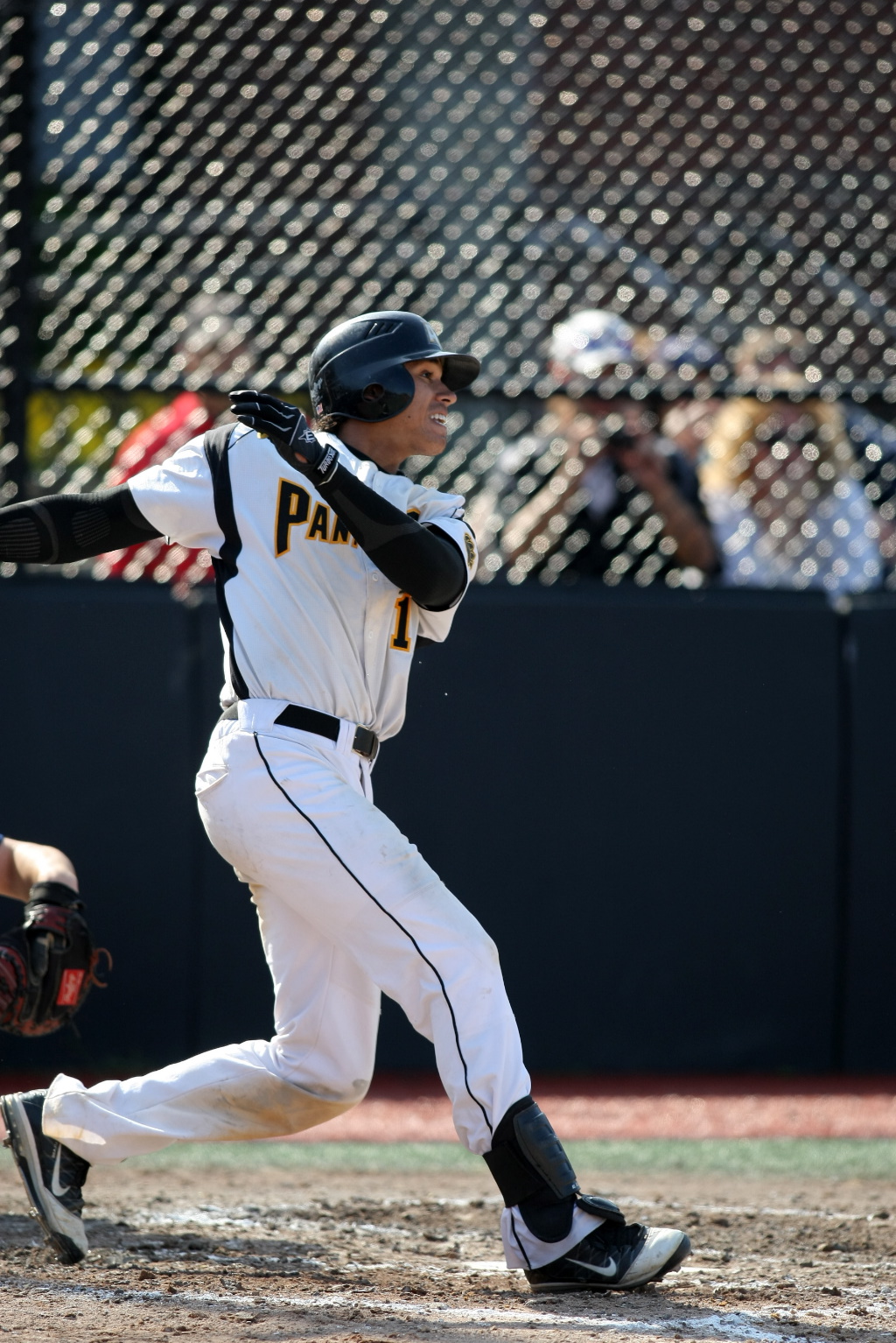 Justin Farnum - Baseball - Adelphi University Athletics