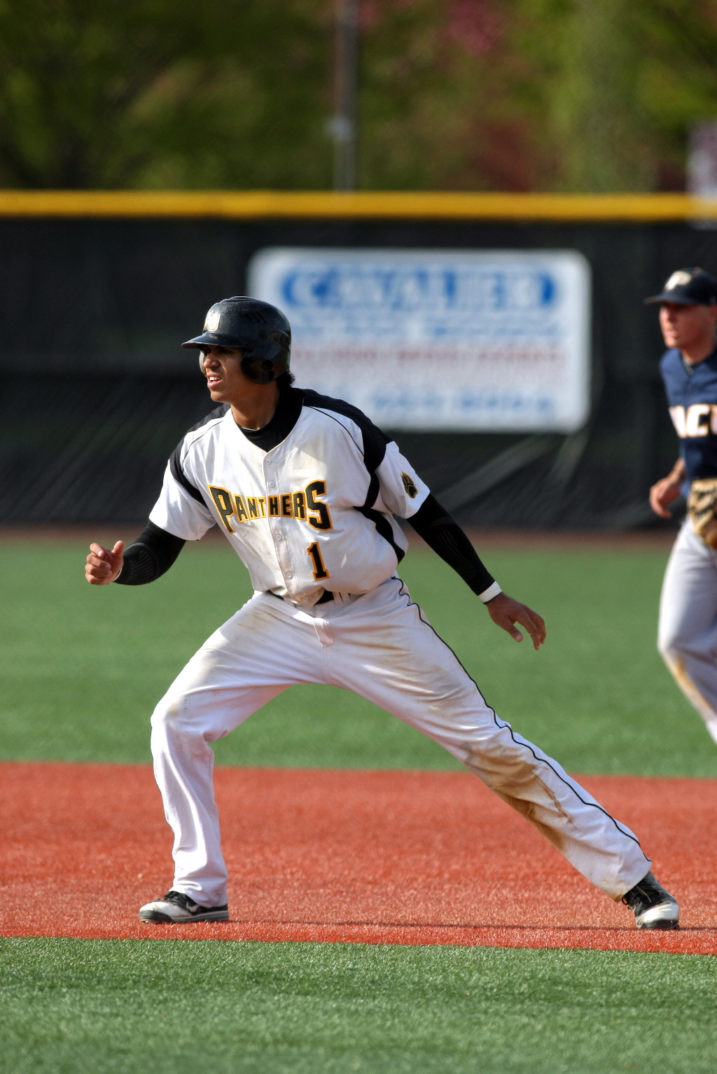 Justin Farnum - Baseball - Adelphi University Athletics