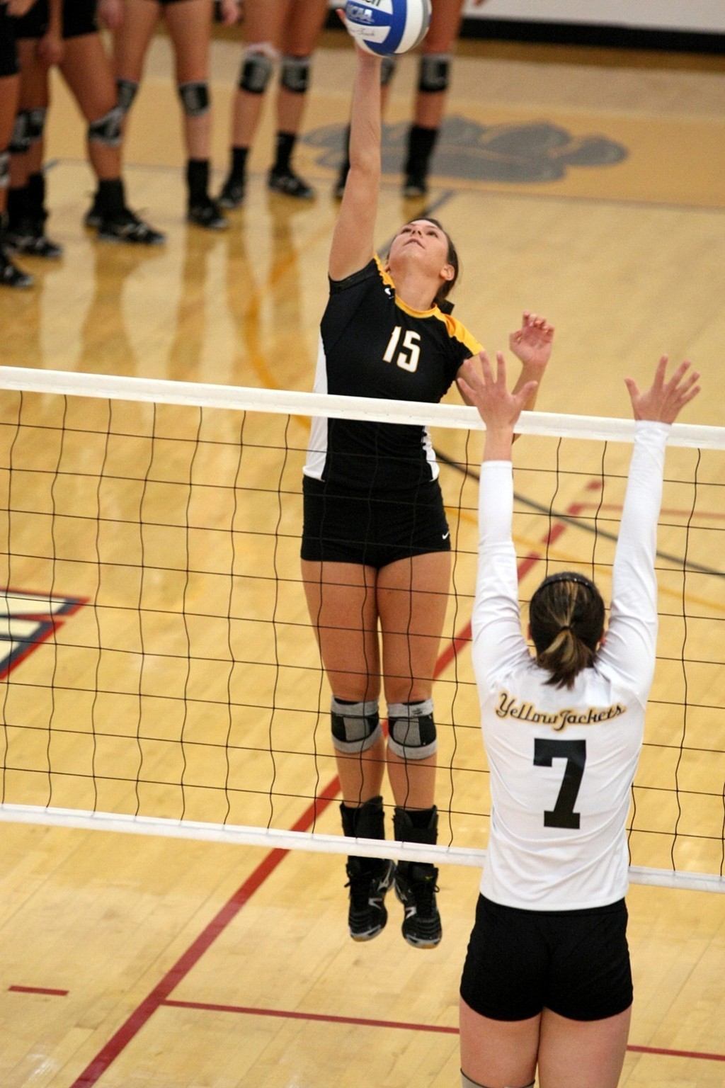 Colleen Raga - Women's Volleyball - Adelphi University Athletics