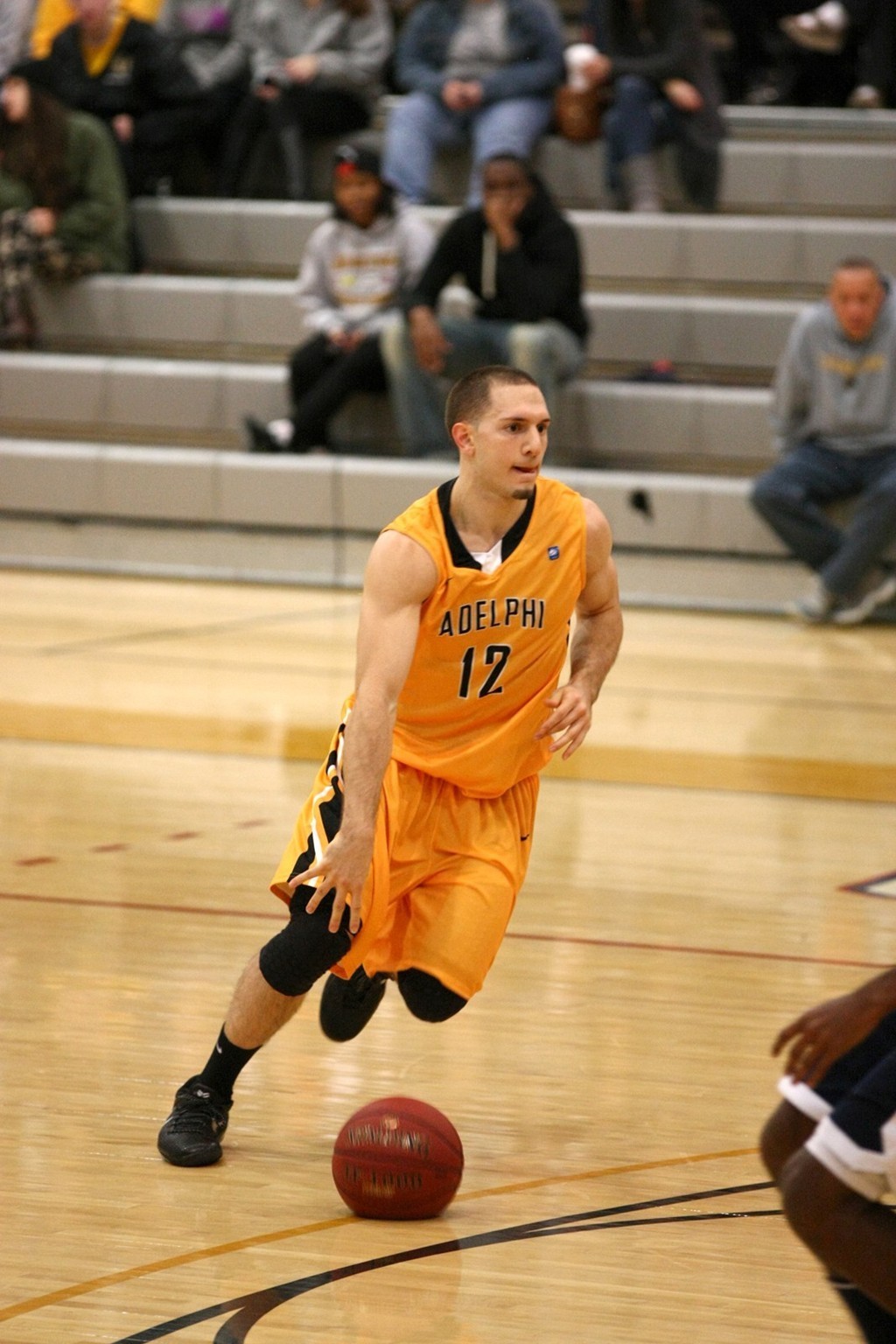 John Calarco - Men's Basketball - Adelphi University Athletics