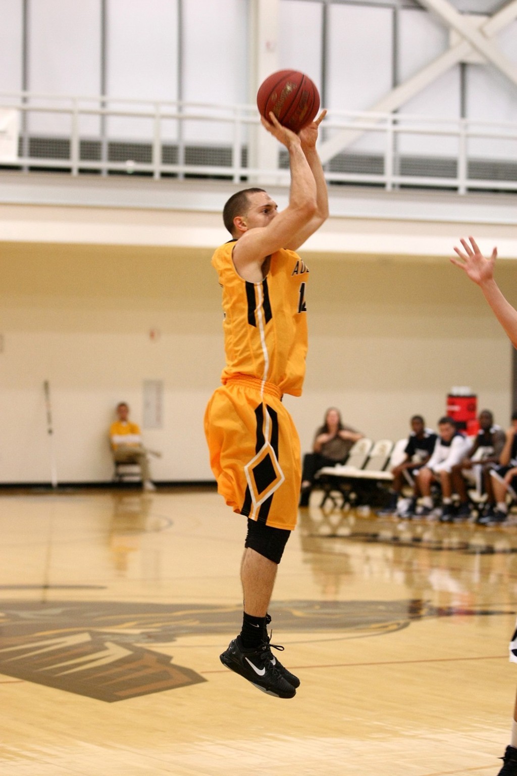 John Calarco - Men's Basketball - Adelphi University Athletics