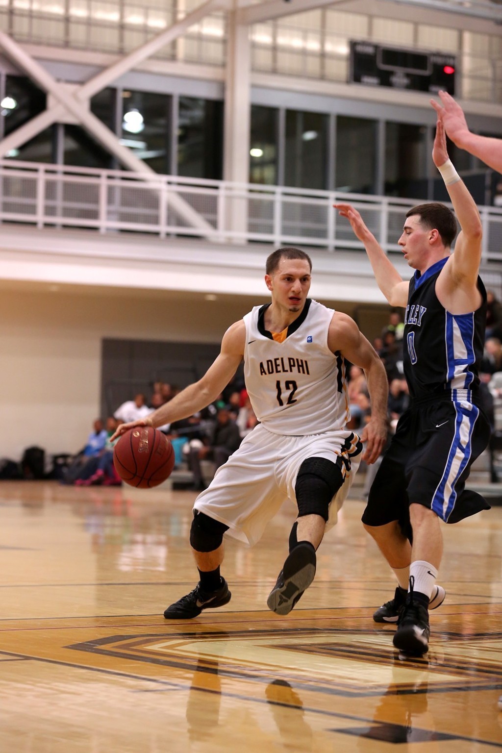 John Calarco - Men's Basketball - Adelphi University Athletics