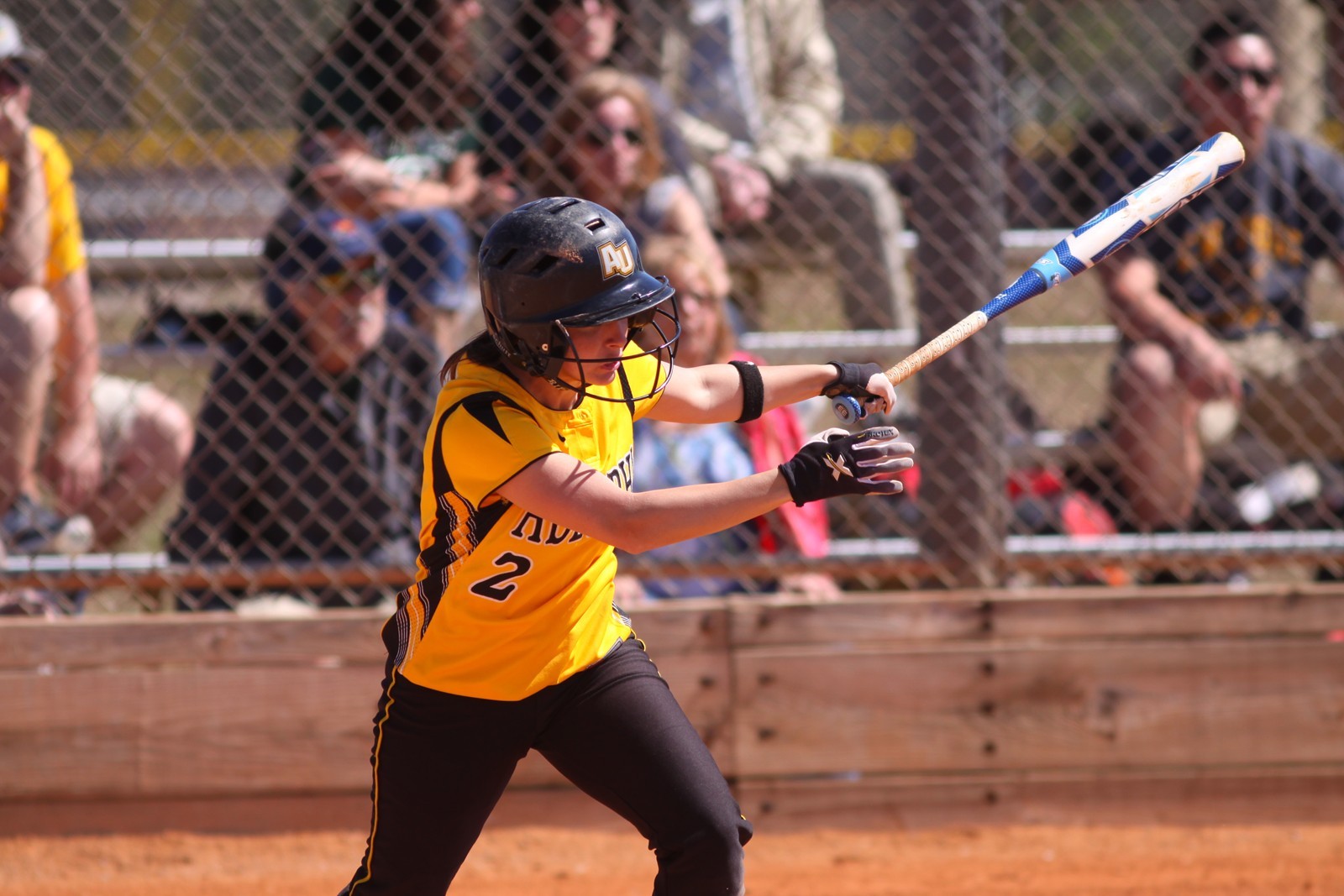Heather Salerno - Softball - Adelphi University Athletics