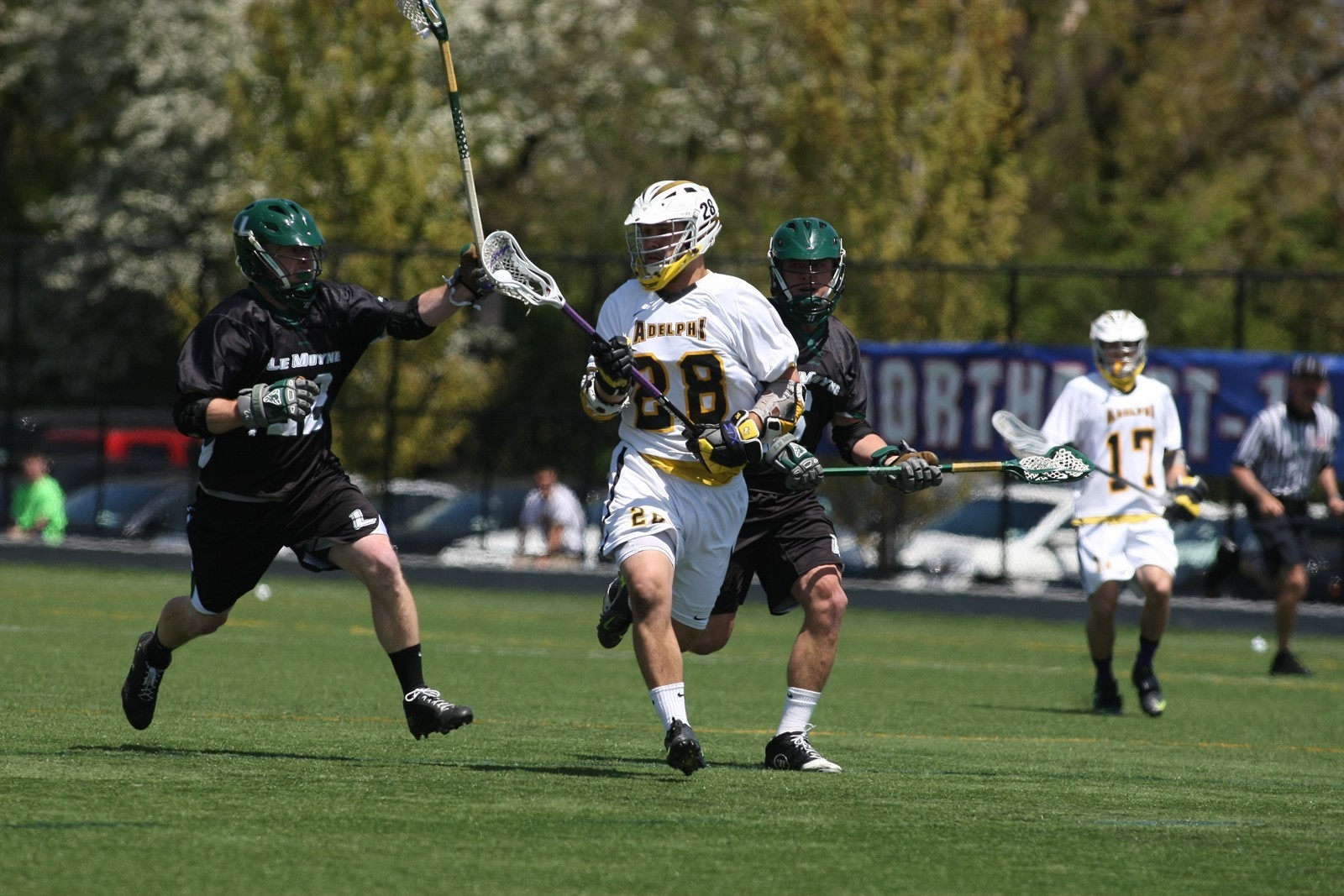 Gregory Puskuldjian - Men's Lacrosse - Adelphi University Athletics