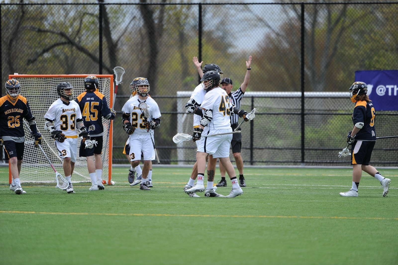 Brandon Goodwin - Men's Lacrosse - Adelphi University Athletics