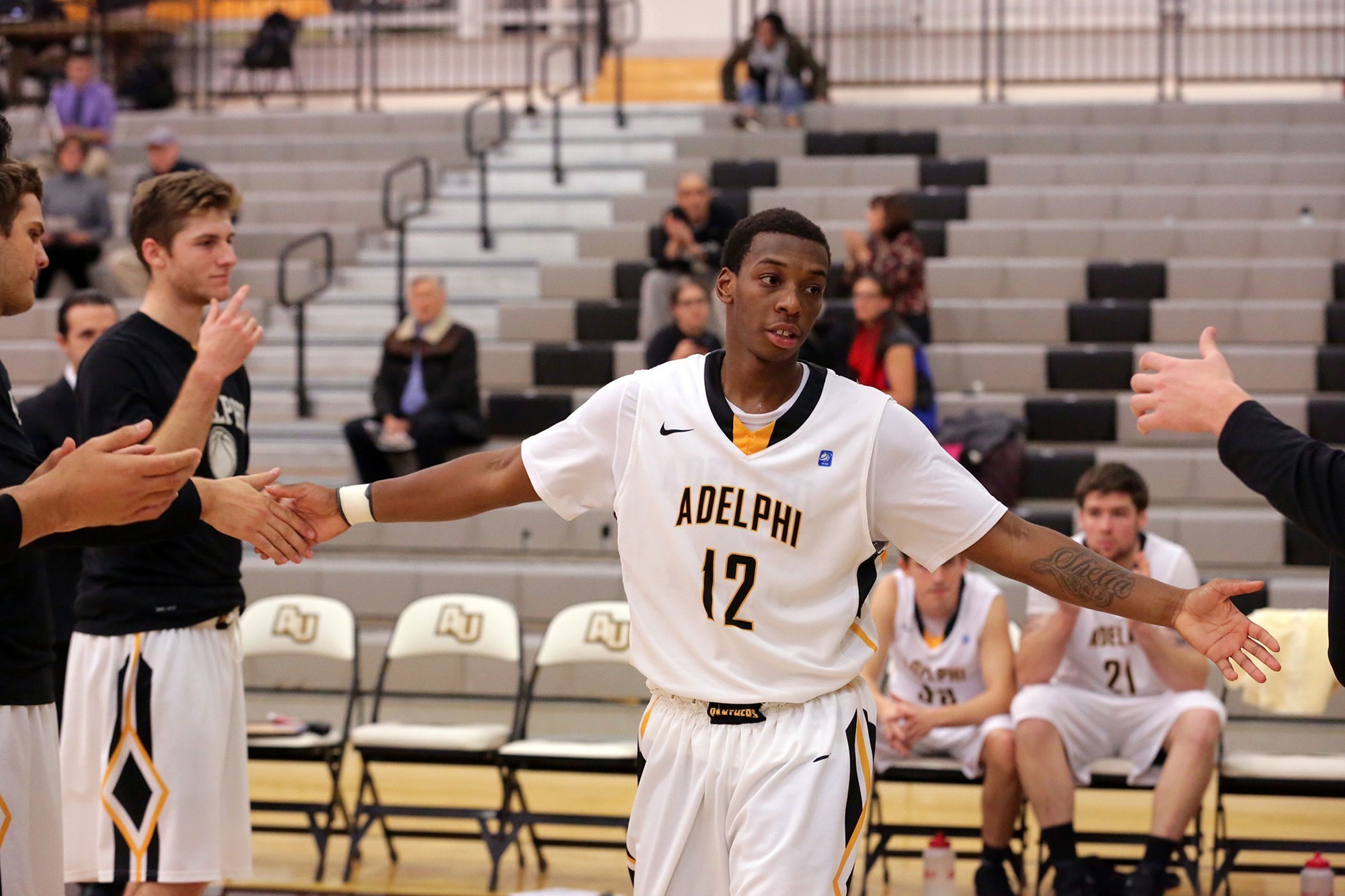 Justin Jenkins - Men's Basketball - Adelphi University Athletics