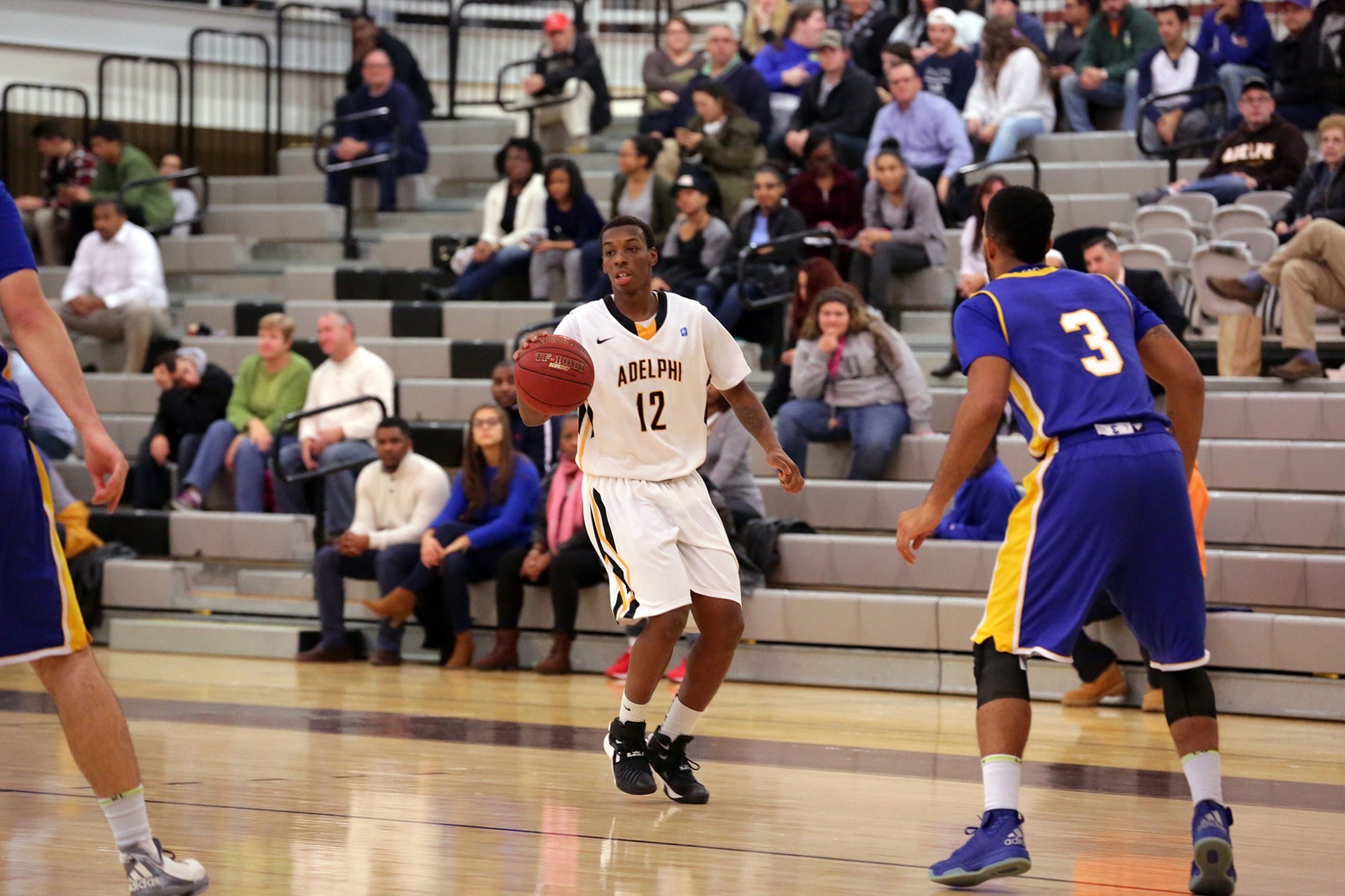 Justin Jenkins - Men's Basketball - Adelphi University Athletics