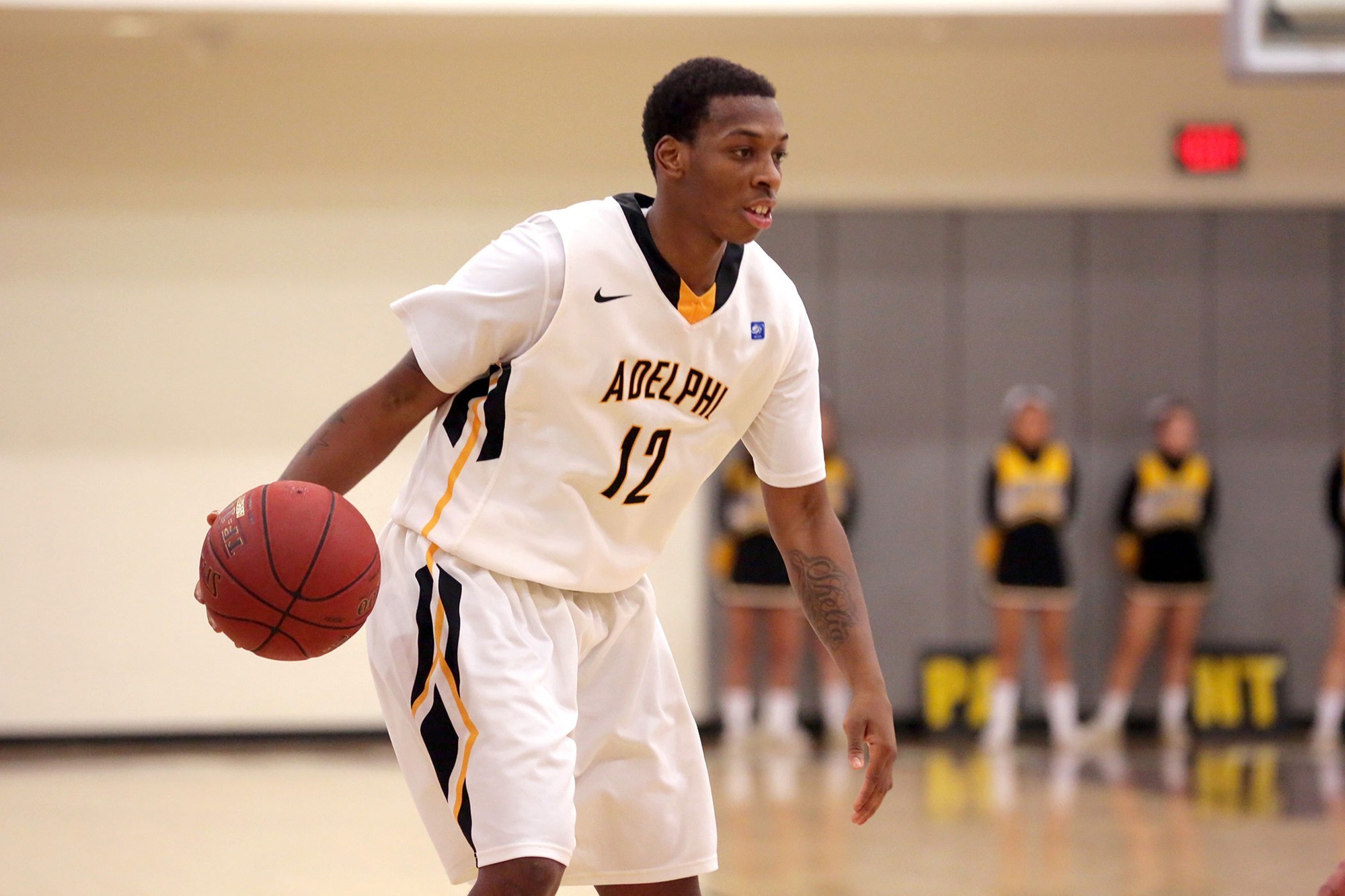 Justin Jenkins - Men's Basketball - Adelphi University Athletics