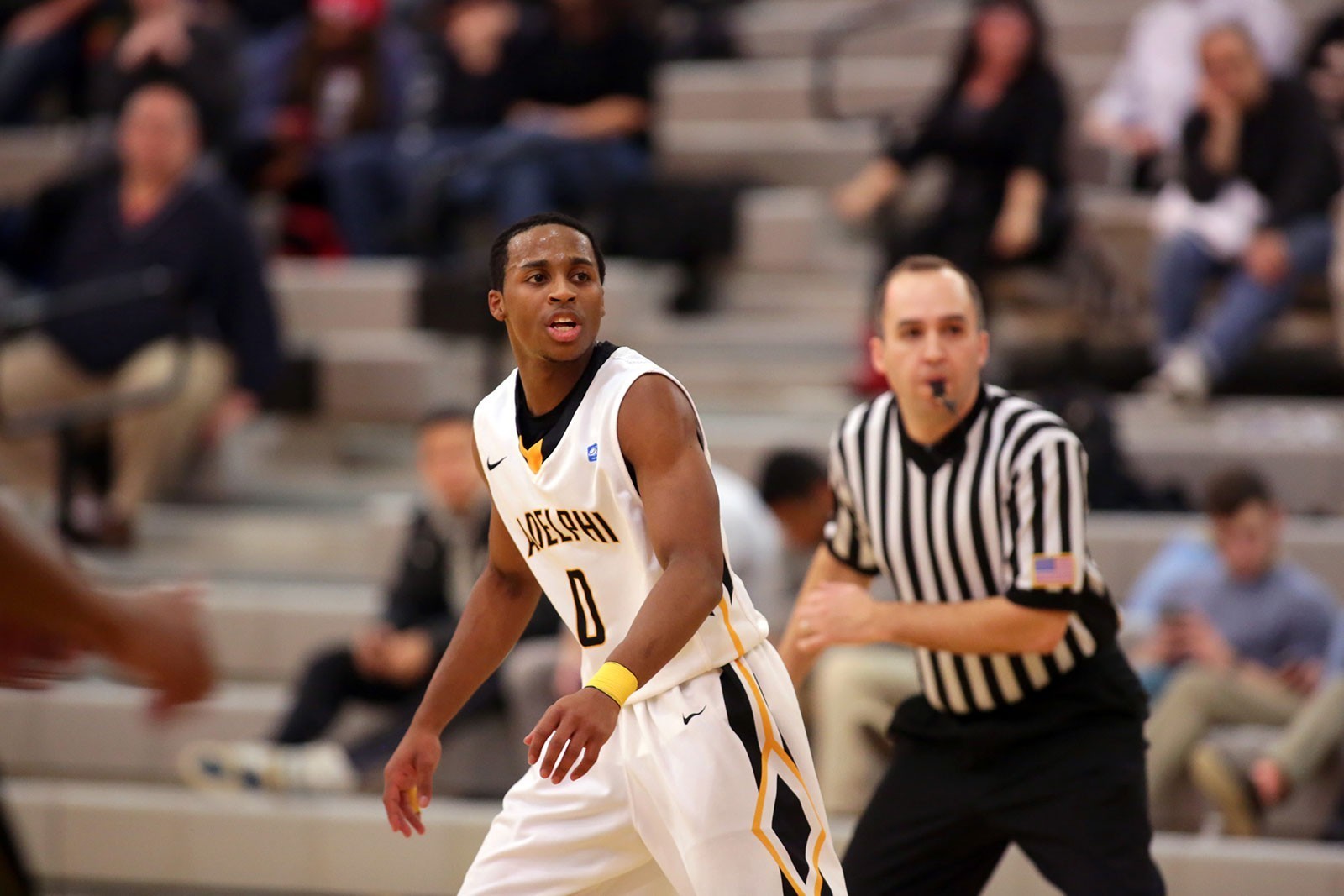 Damon Coleman - Men's Basketball - Adelphi University Athletics