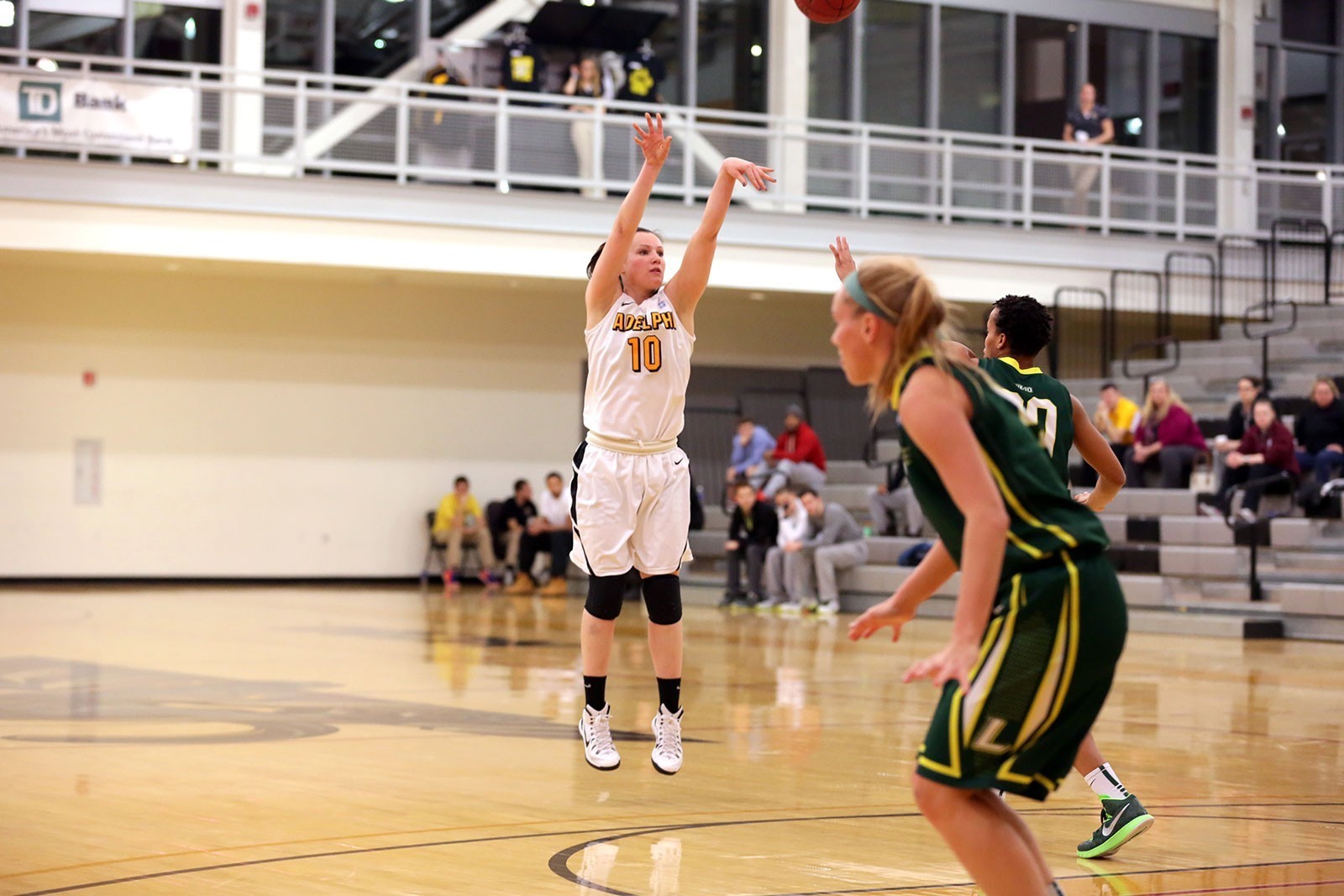 Kelly Mannix - Women's Basketball - Adelphi University Athletics