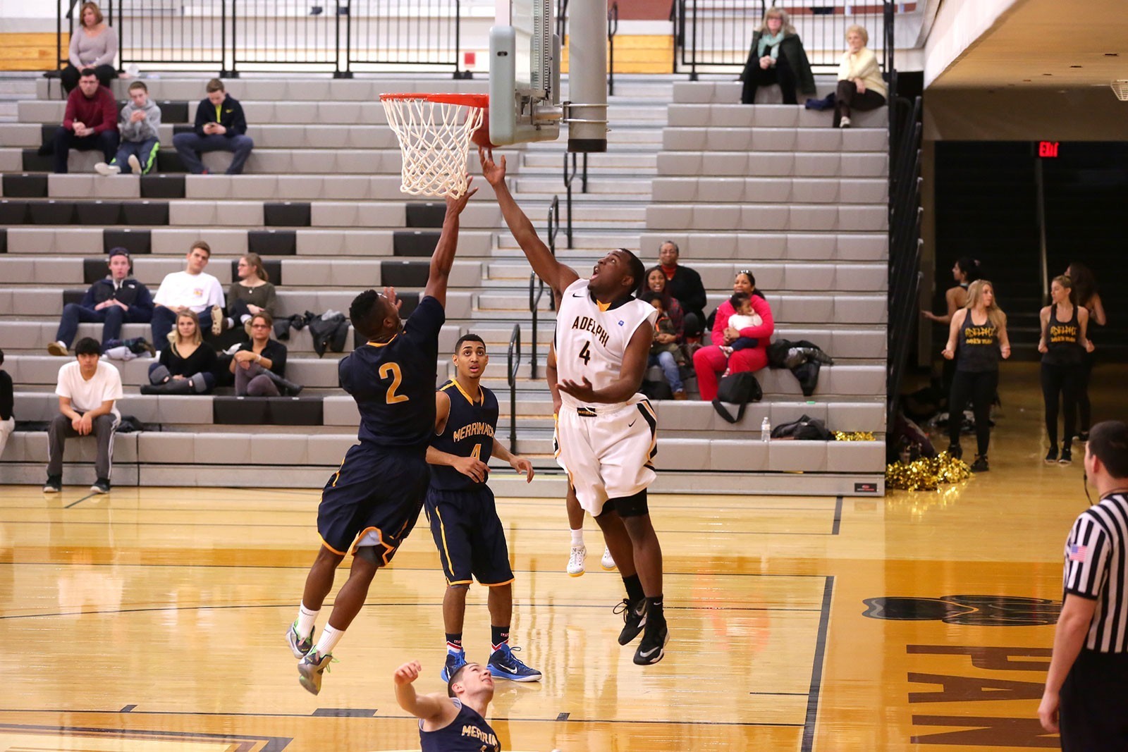 Kyle McLeggan - Men's Basketball - Adelphi University Athletics