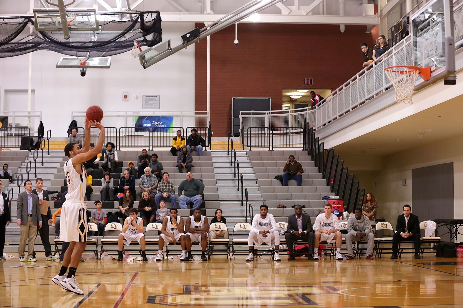 Duane Morgan - Men's Basketball - Adelphi University Athletics