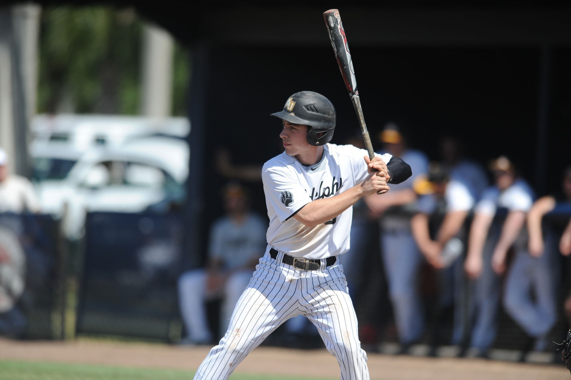 Vincent Sharkey - Baseball - Adelphi University Athletics