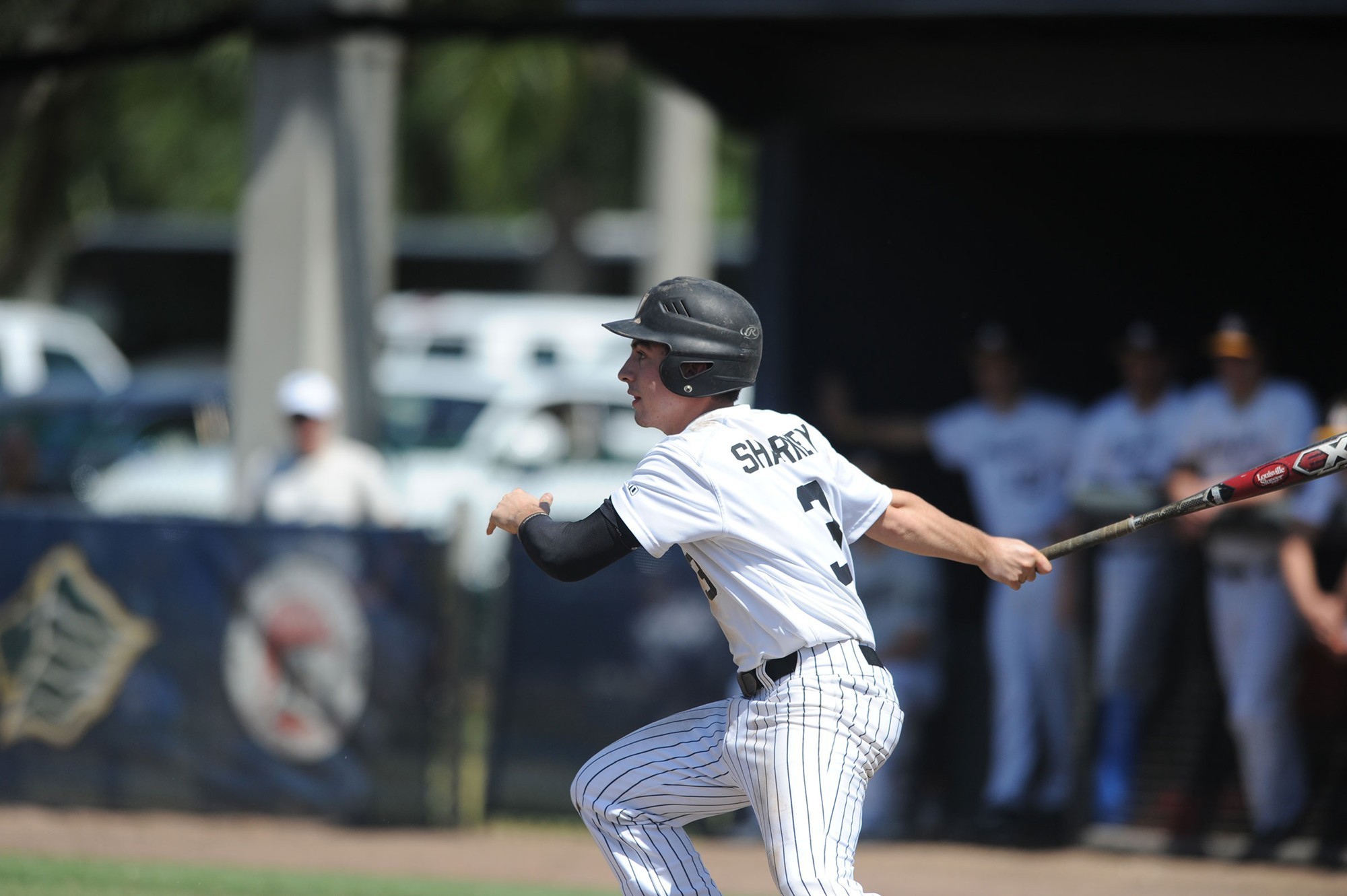 Vincent Sharkey - Baseball - Adelphi University Athletics