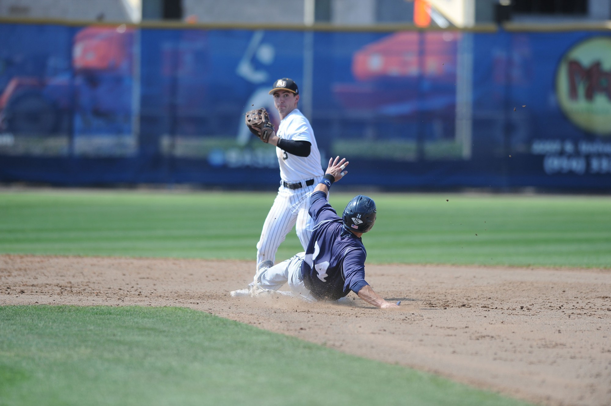 Vincent Sharkey - Baseball - Adelphi University Athletics